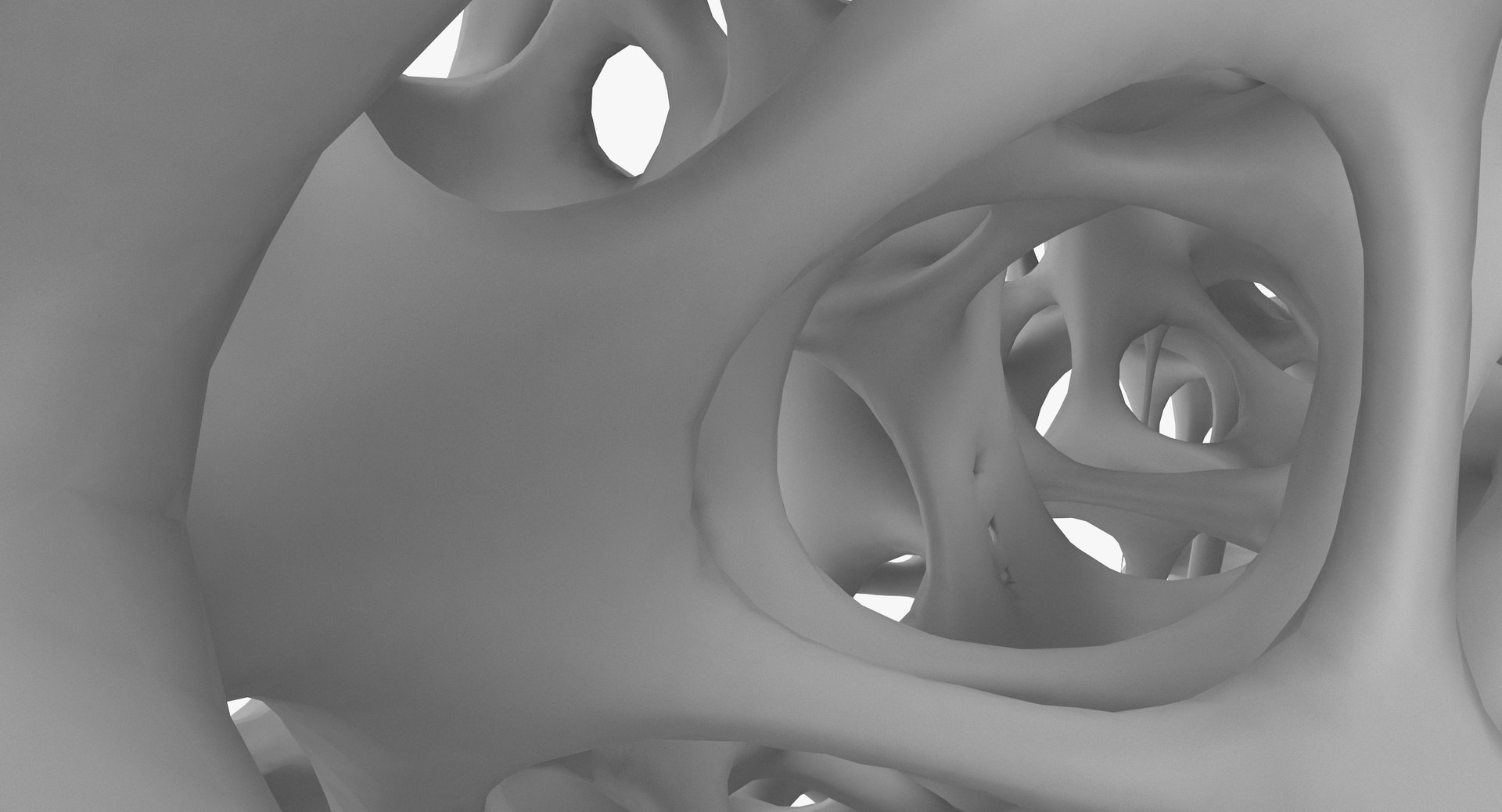 Bone Matrix Rectangle 3D Model - TurboSquid 1298759