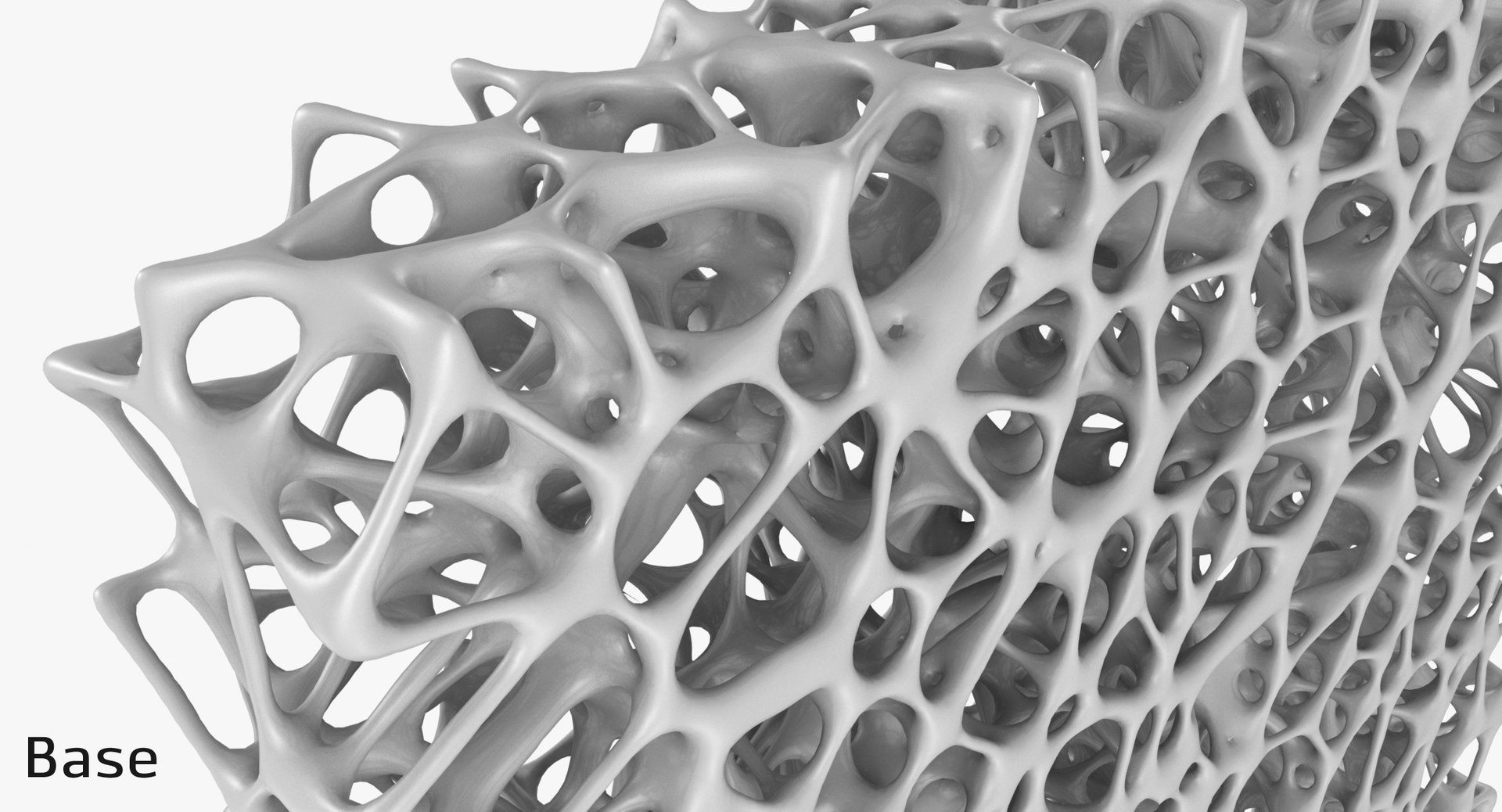 Bone Matrix Rectangle 3D Model - TurboSquid 1298759