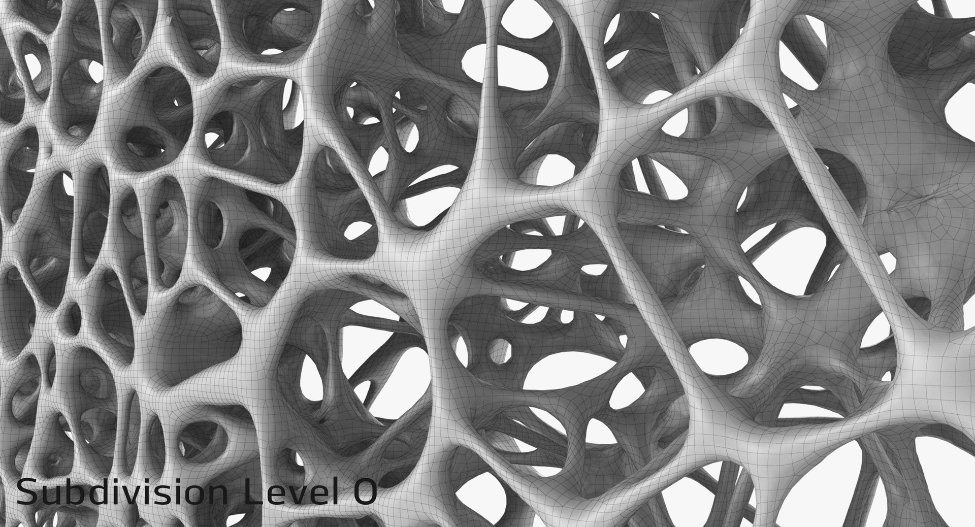 Bone Matrix Rectangle 3D Model - TurboSquid 1298759