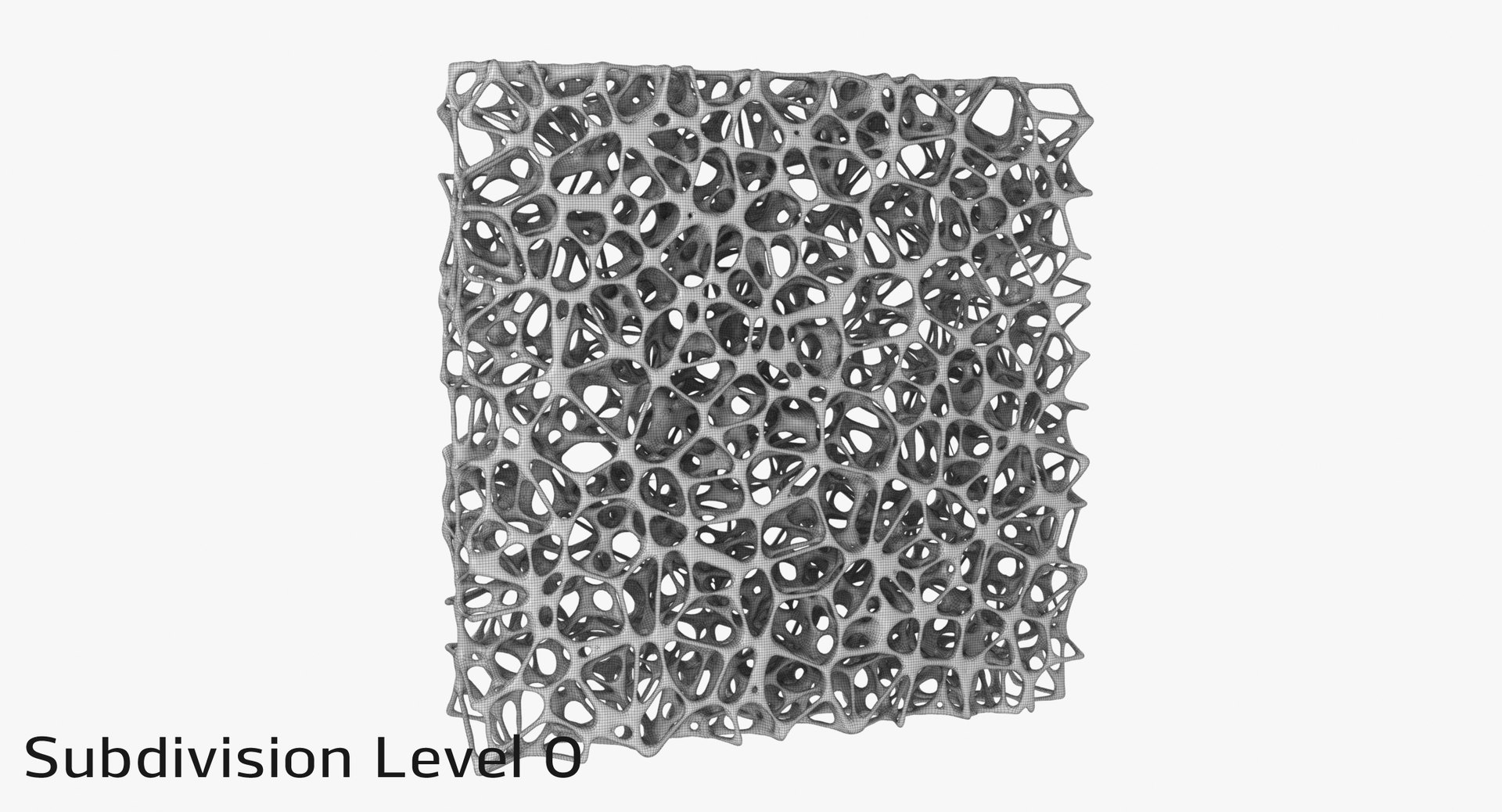 Bone Matrix Rectangle 3D Model - TurboSquid 1298759