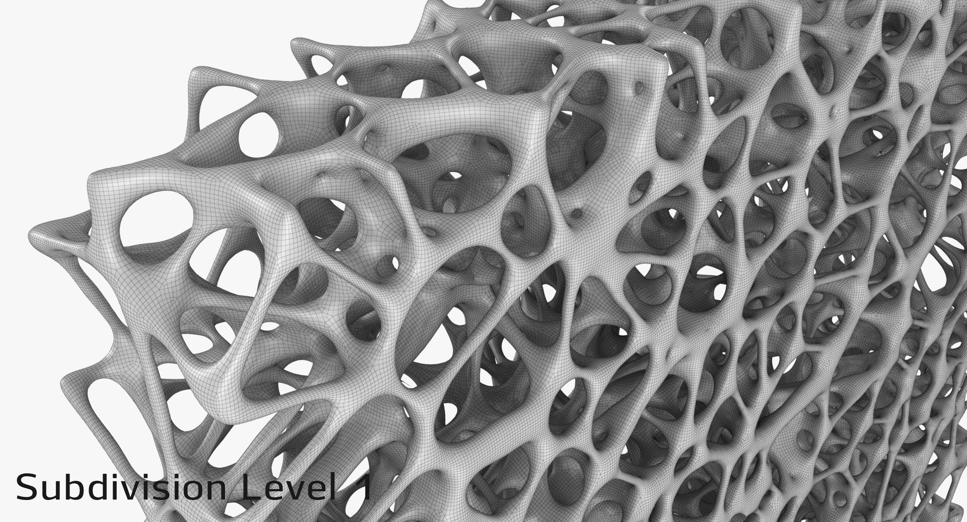 Bone Matrix Rectangle 3D Model - TurboSquid 1298759