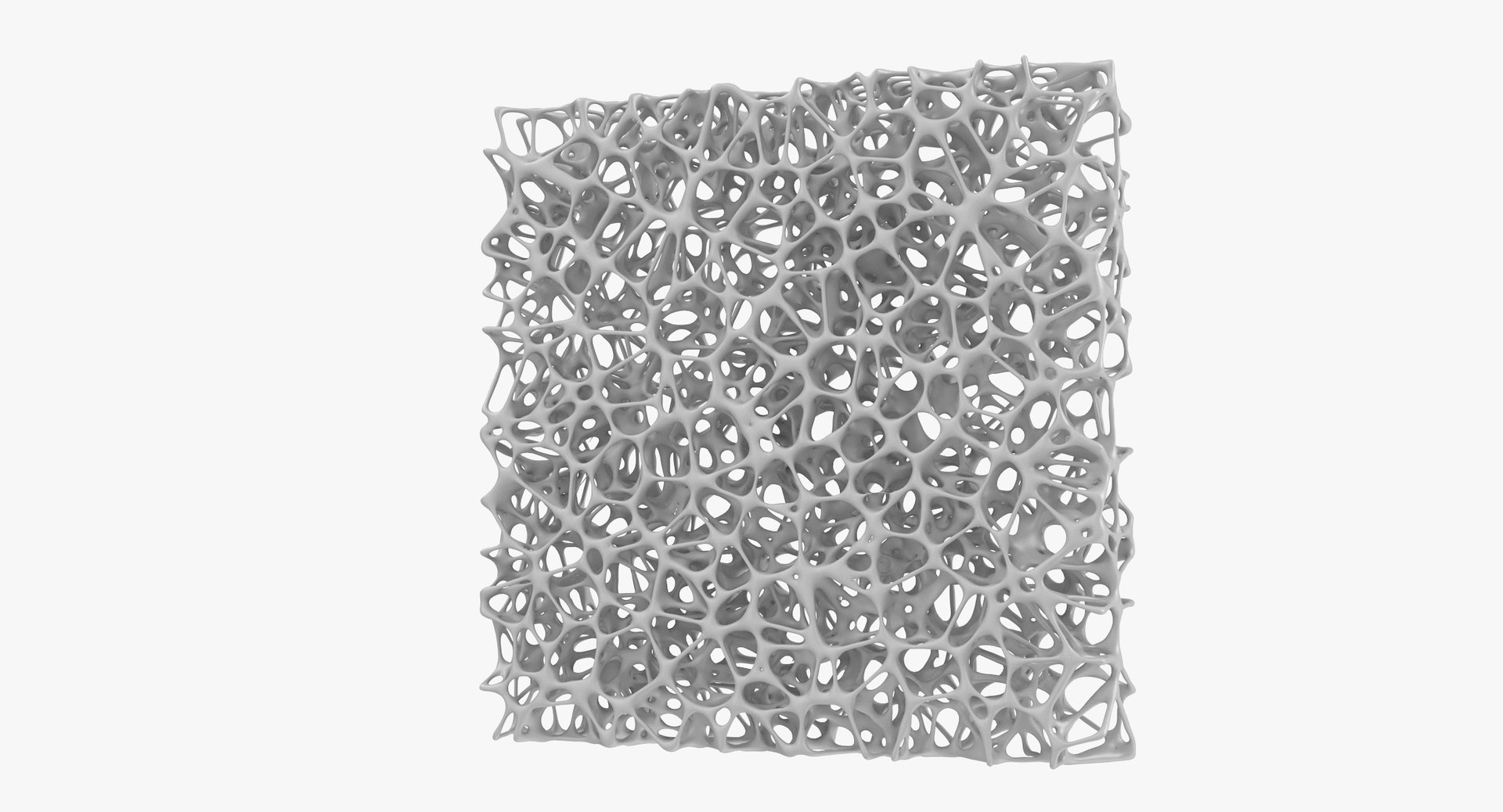 Bone Matrix Rectangle 3D Model - TurboSquid 1298759