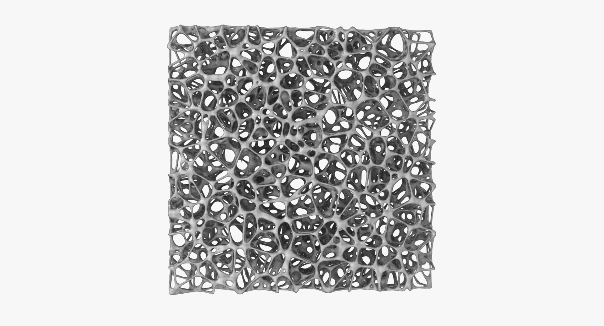 Bone Matrix Rectangle 3D Model - TurboSquid 1298759