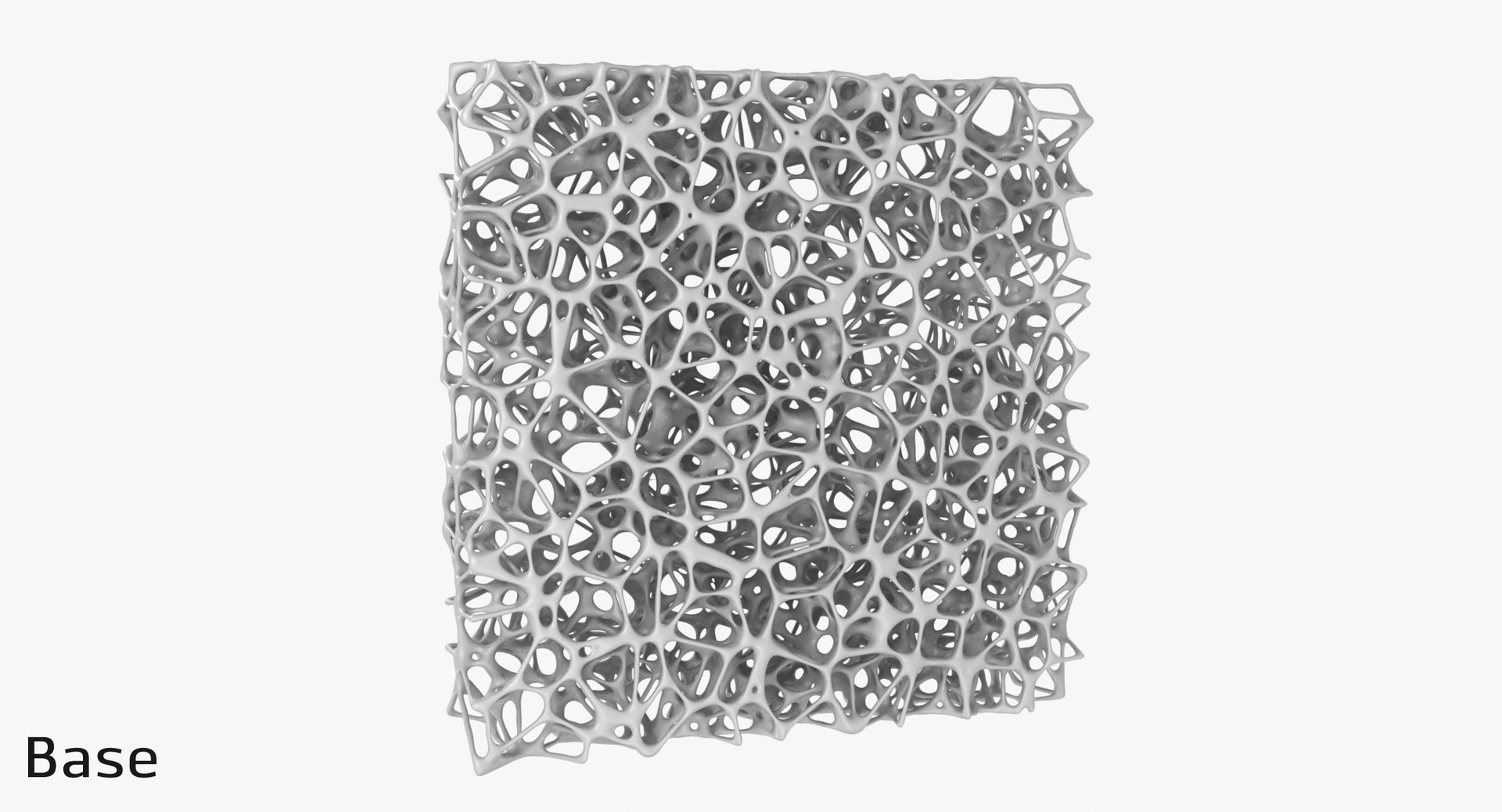 Bone Matrix Rectangle 3D Model - TurboSquid 1298759