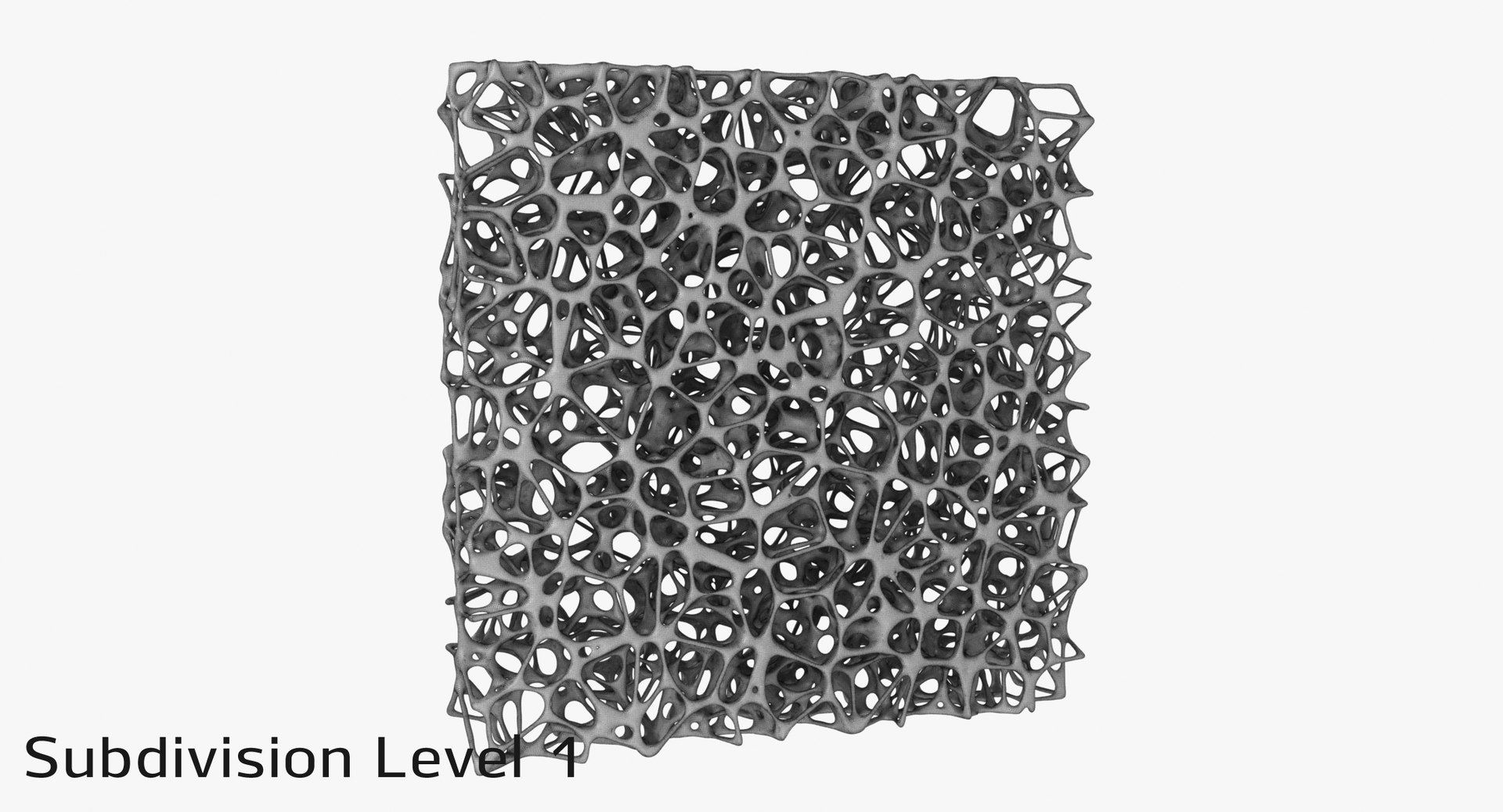 Bone Matrix Rectangle 3D Model - TurboSquid 1298759