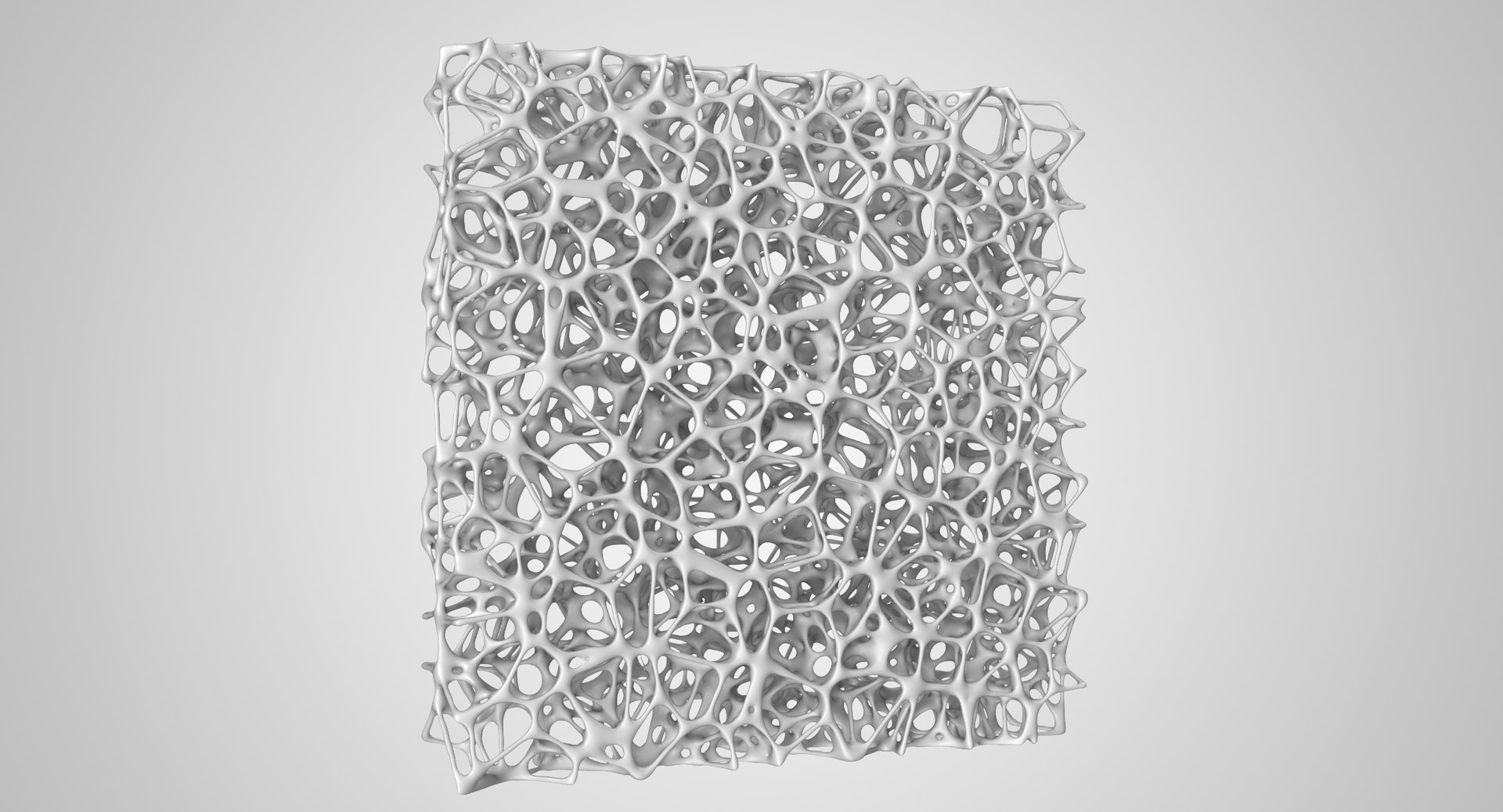 Bone Matrix Rectangle 3D Model - TurboSquid 1298759