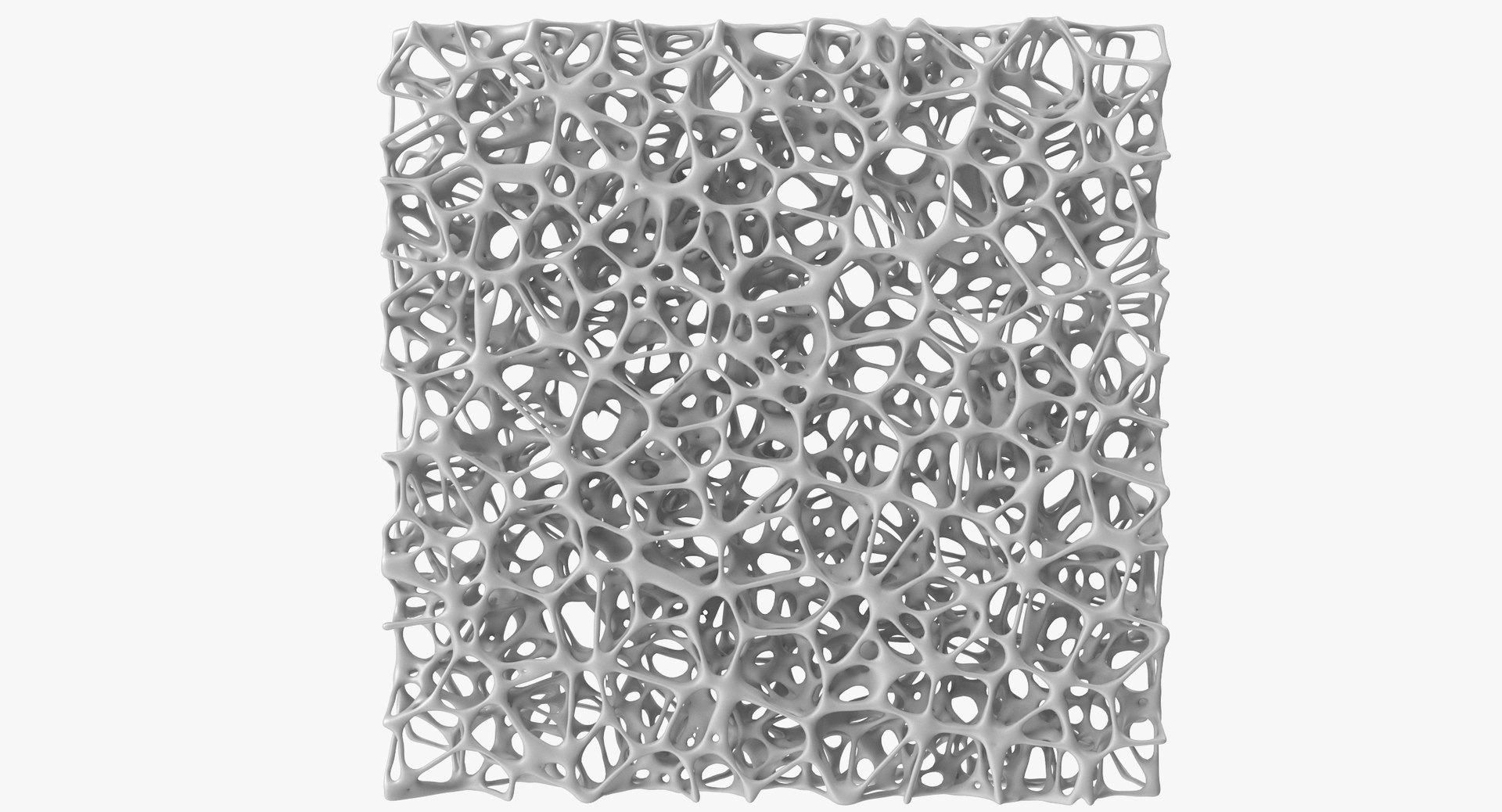 Bone Matrix Rectangle 3D Model - TurboSquid 1298759
