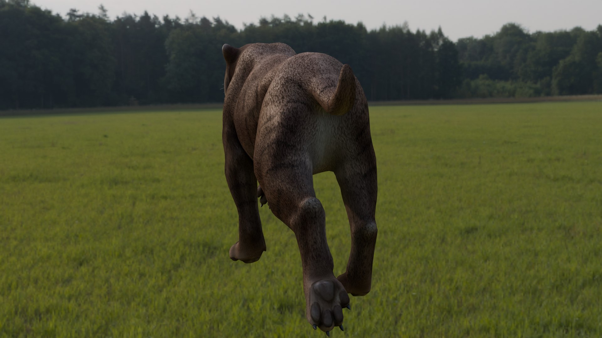 Saber Toothed Cat 3D Model - TurboSquid 2187891