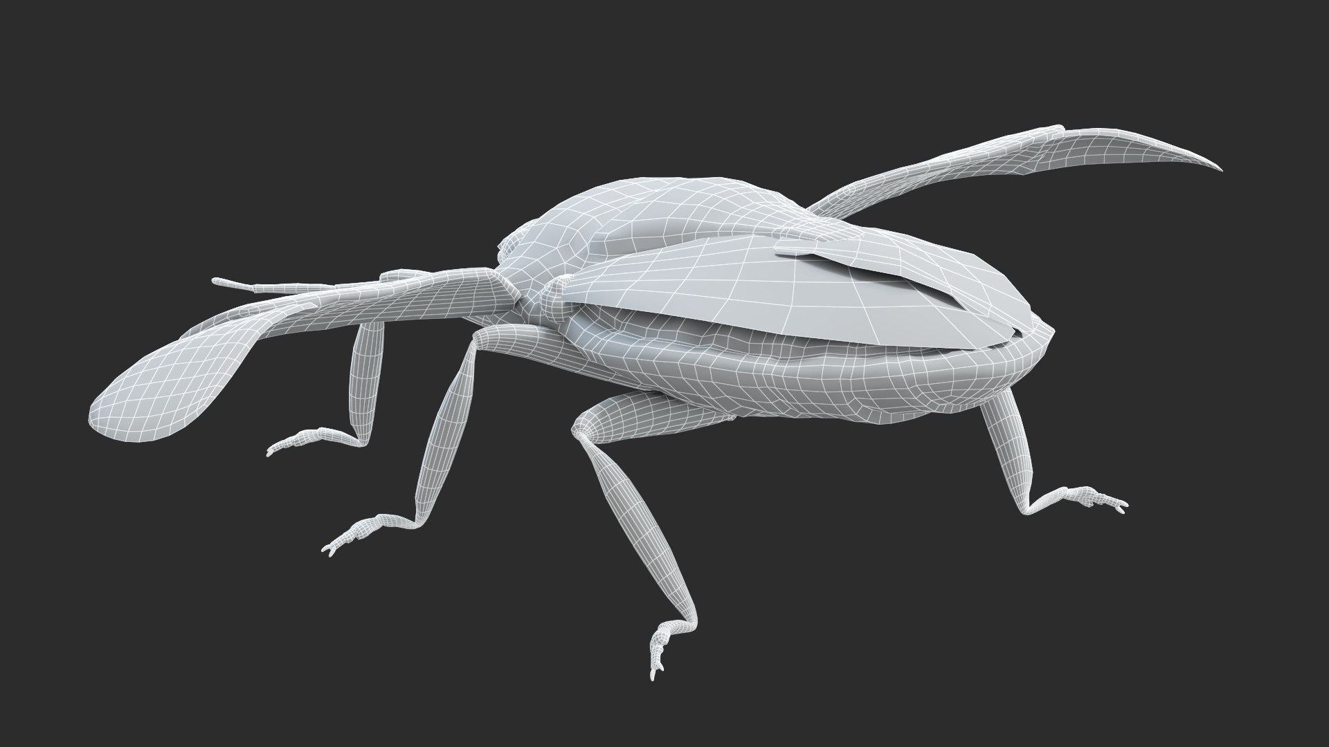 3D Model Stink Bug Static - TurboSquid 2071209