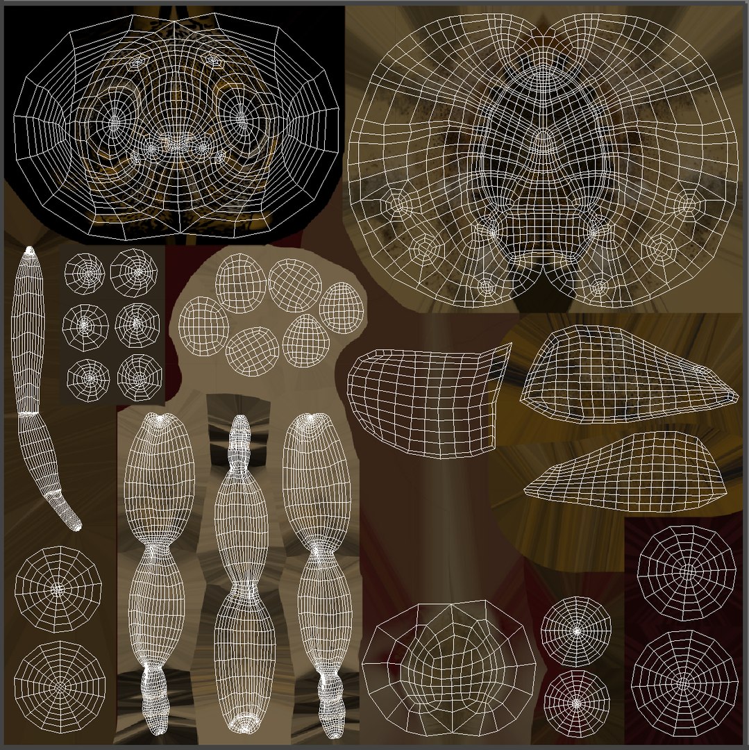 3D Model Stink Bug Static - TurboSquid 2071209