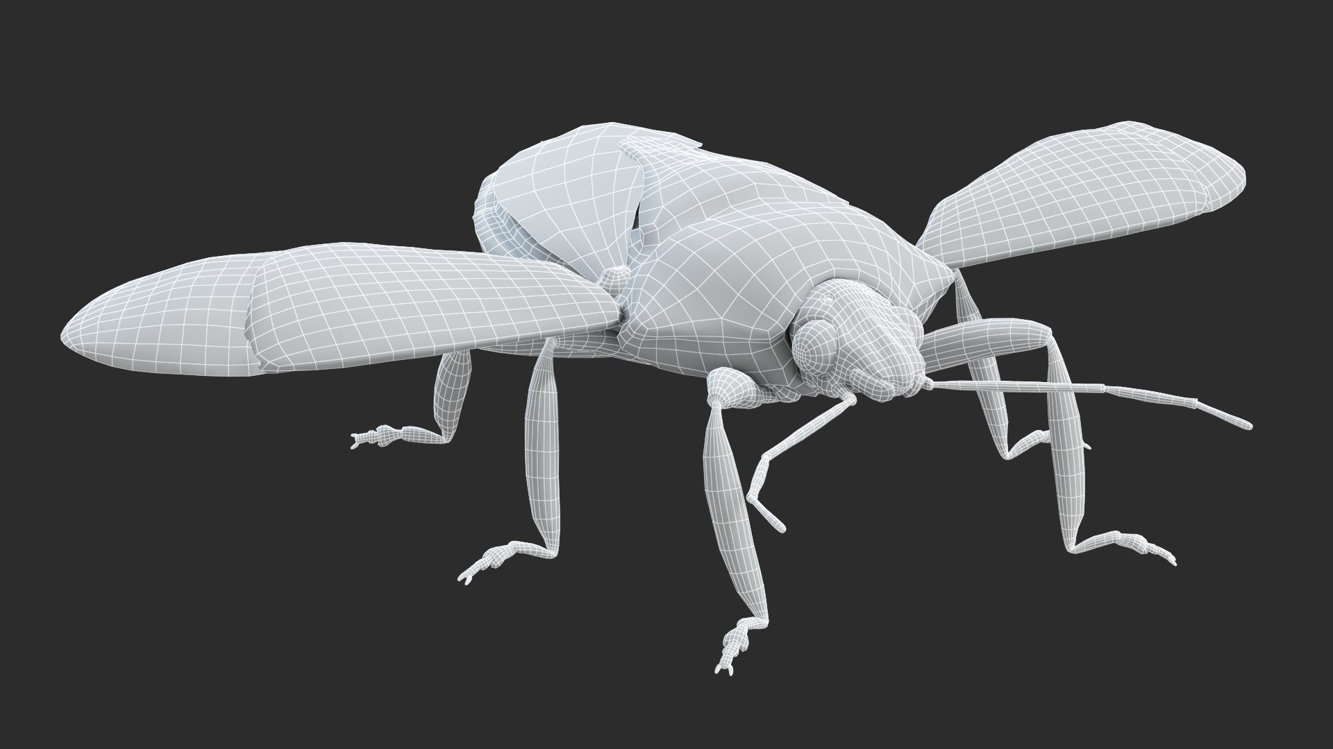 3D Model Stink Bug Static - TurboSquid 2071209