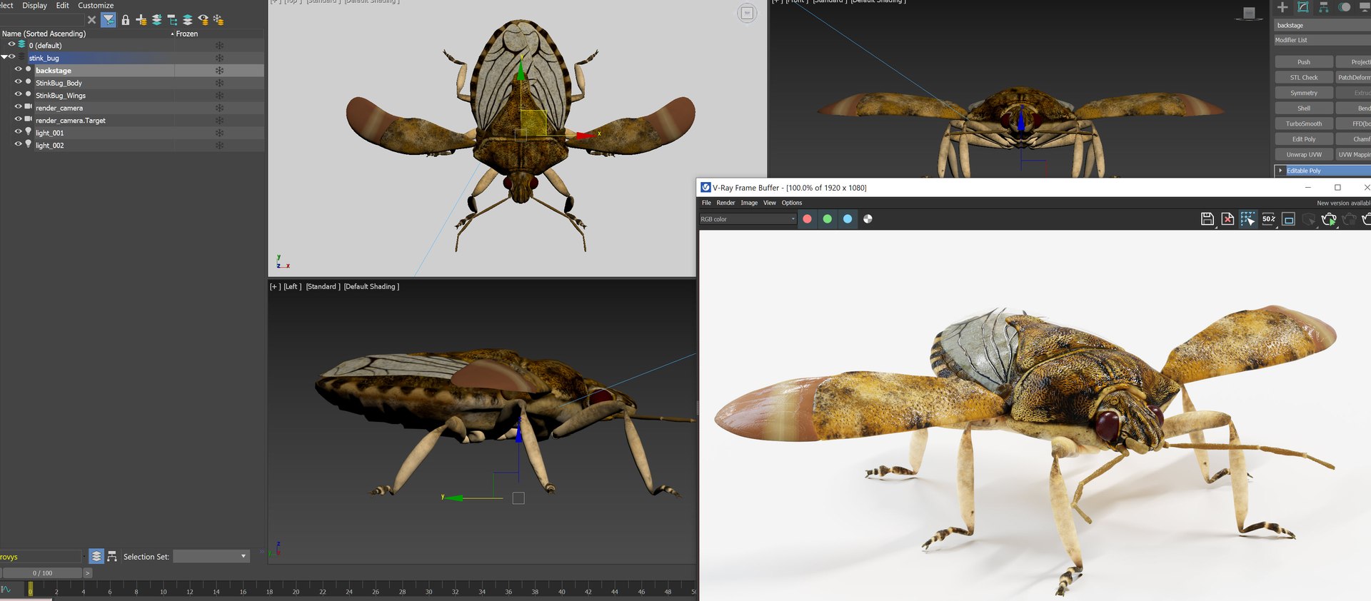 3D Model Stink Bug Static - TurboSquid 2071209