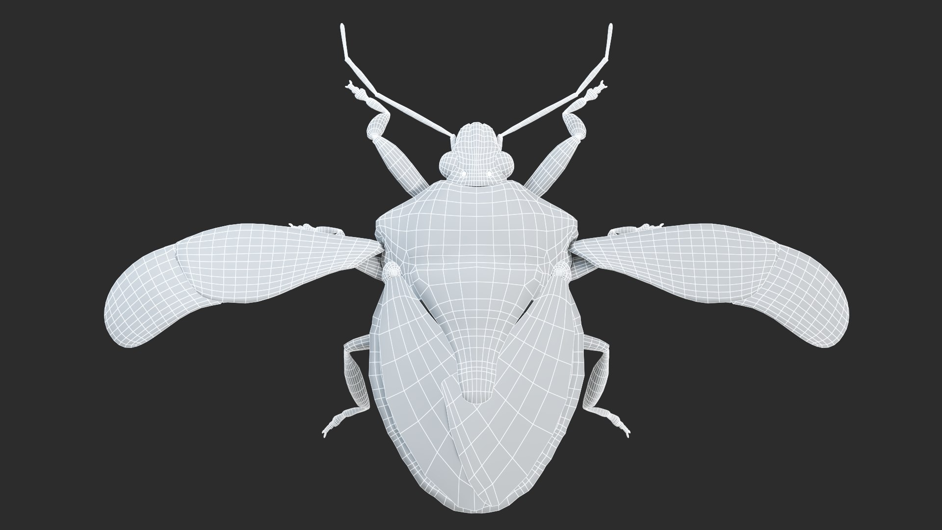 3D Model Stink Bug Static - TurboSquid 2071209