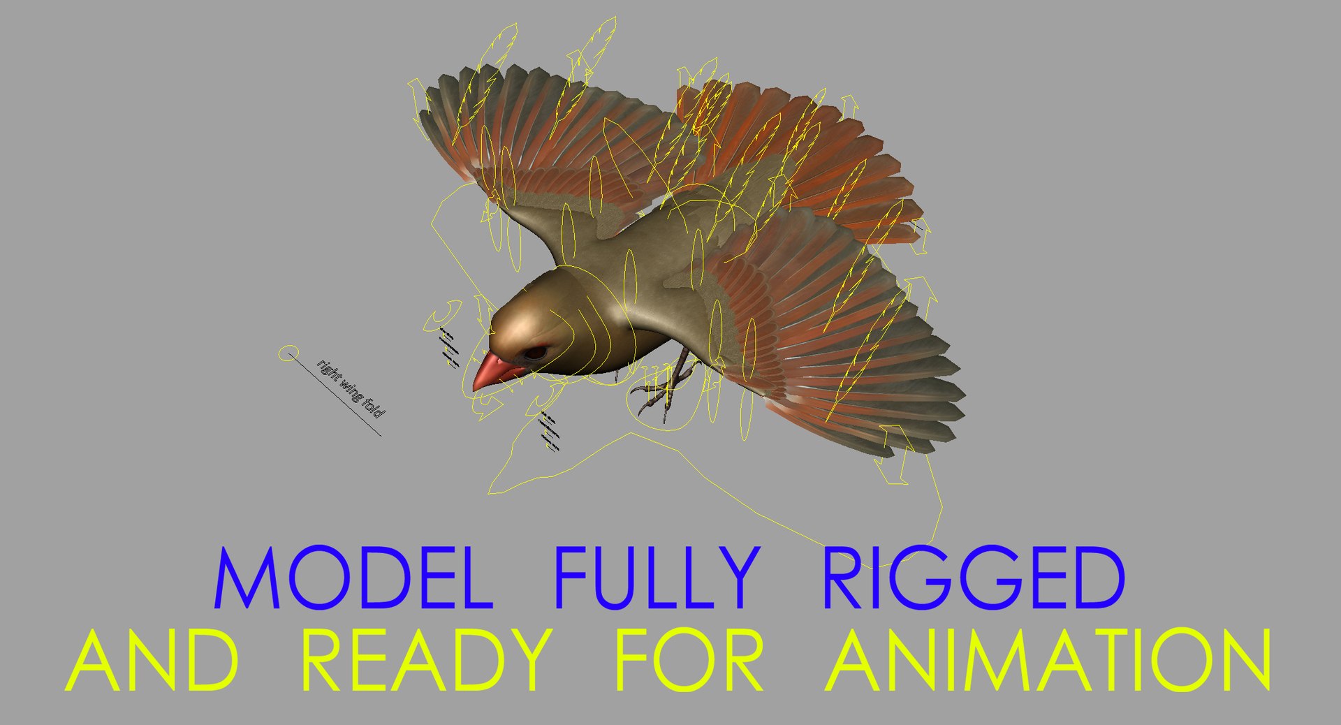 Cardinalis Northern Cardinal Female Rigged 3d Model