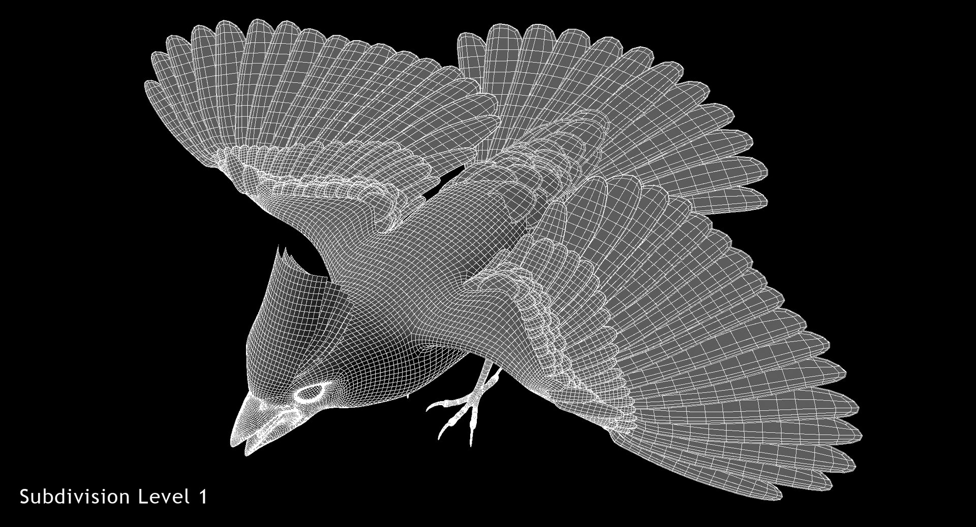 Cardinalis Northern Cardinal Female Rigged 3d Model