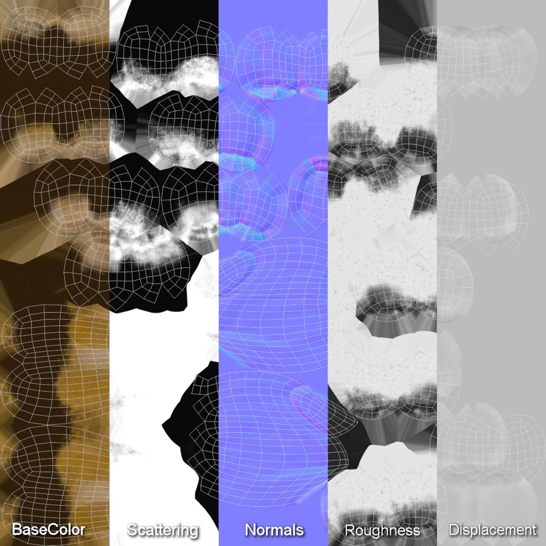 Squirrel Static Xgen - TurboSquid 2371953