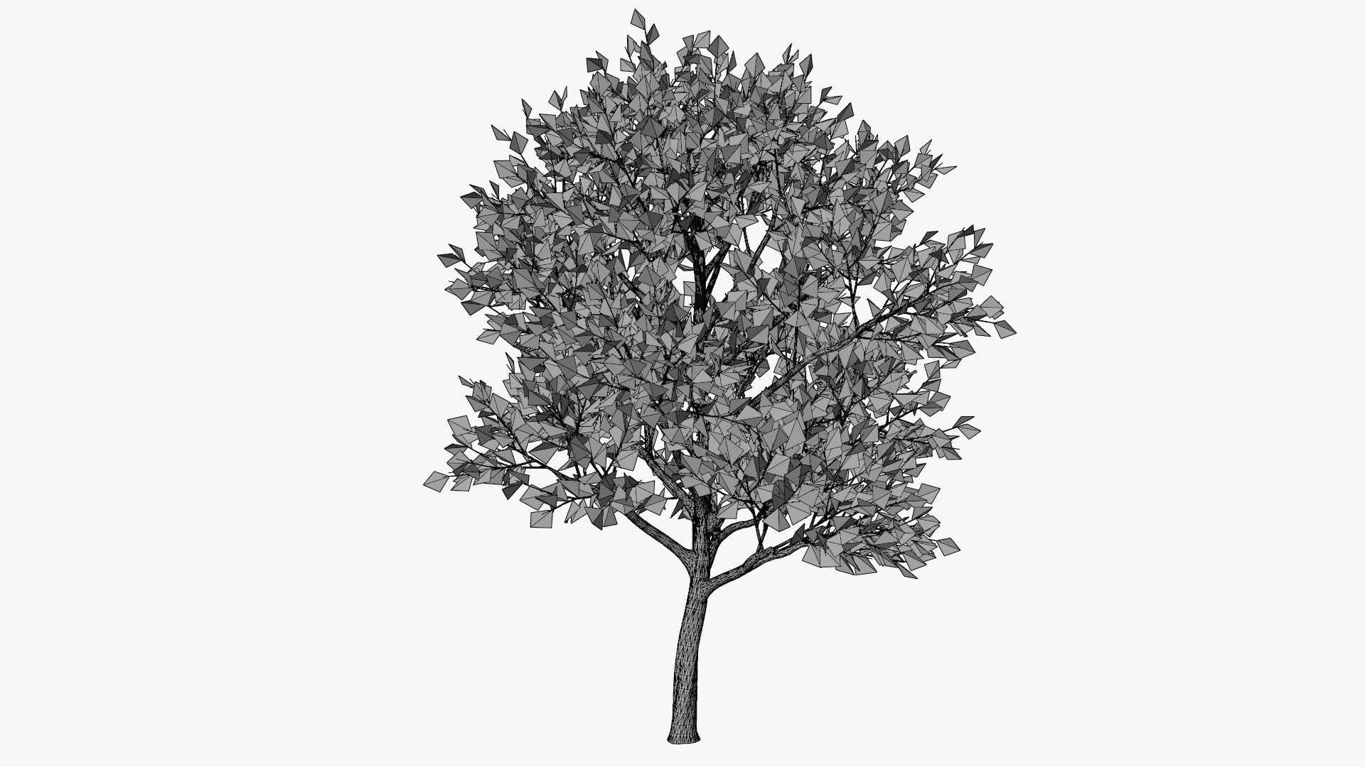 Stylized Cartoon Maples Set model - TurboSquid 2083098