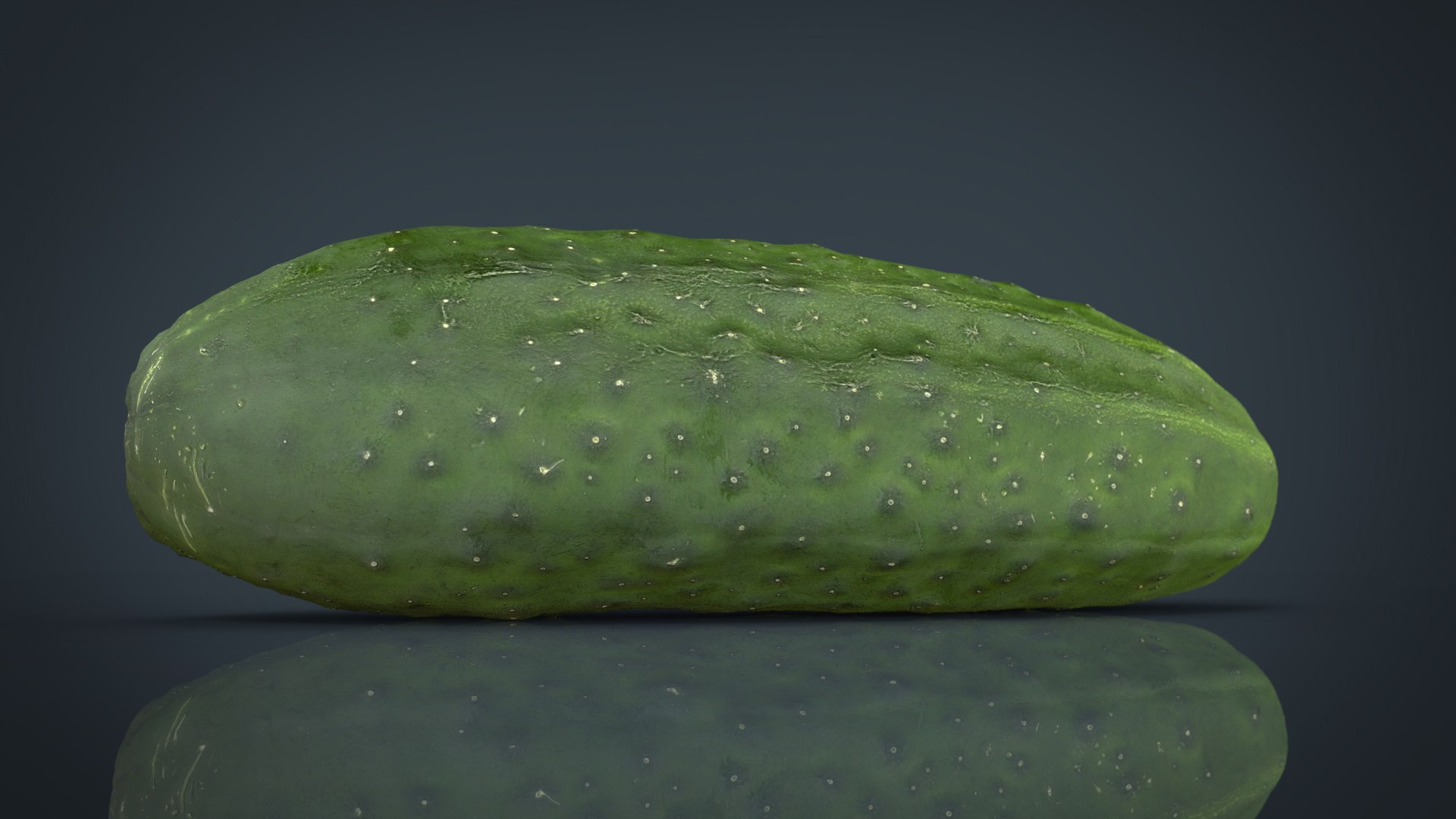 Cucumber 3d Model