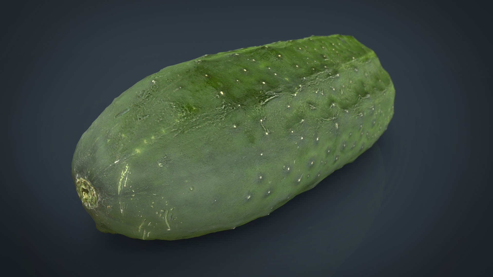 Cucumber 3d Model