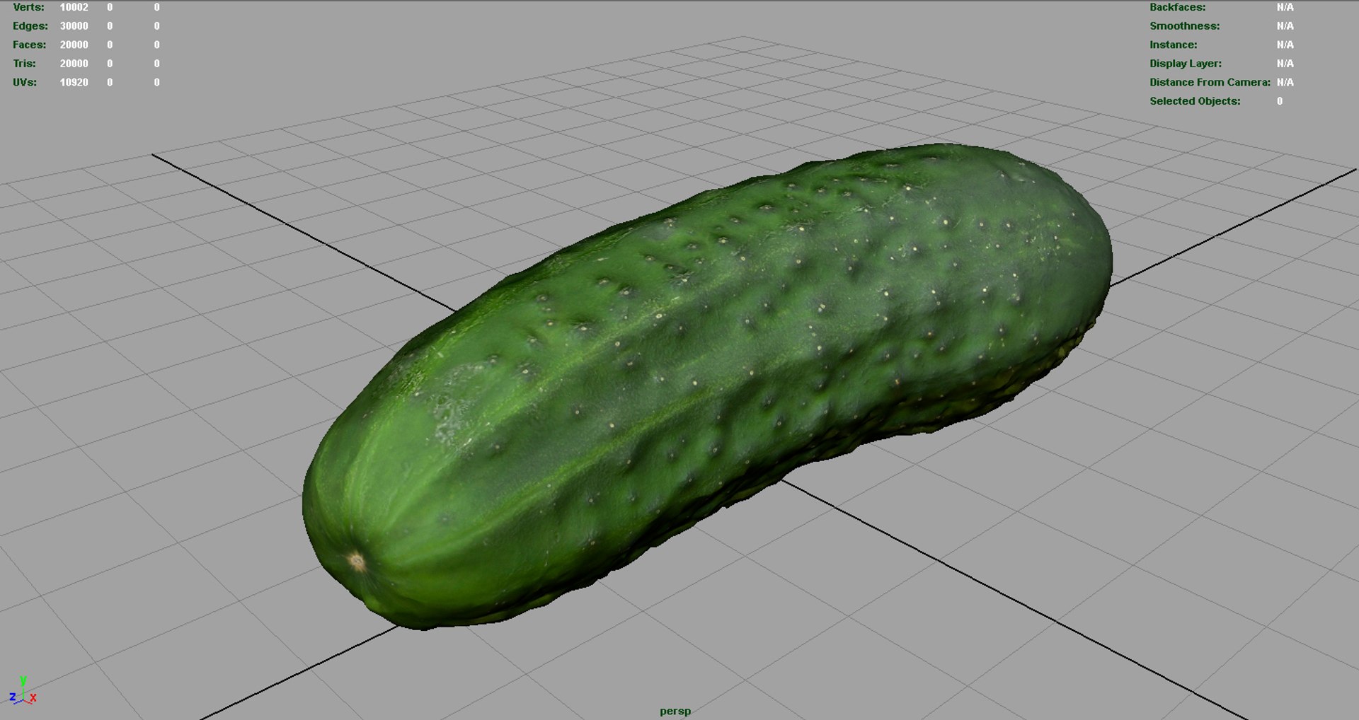 Cucumber 3d Model