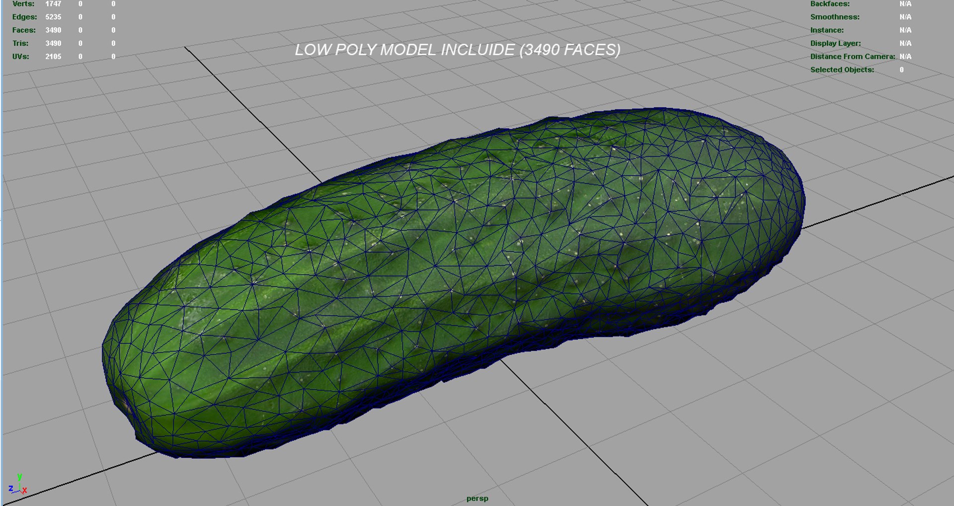 Cucumber 3d Model