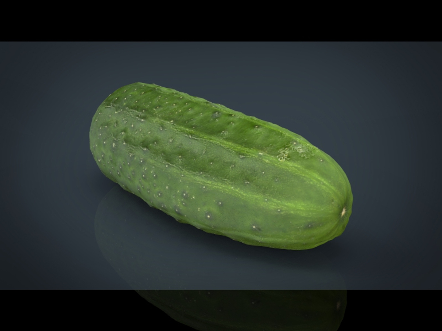 Cucumber 3d Model