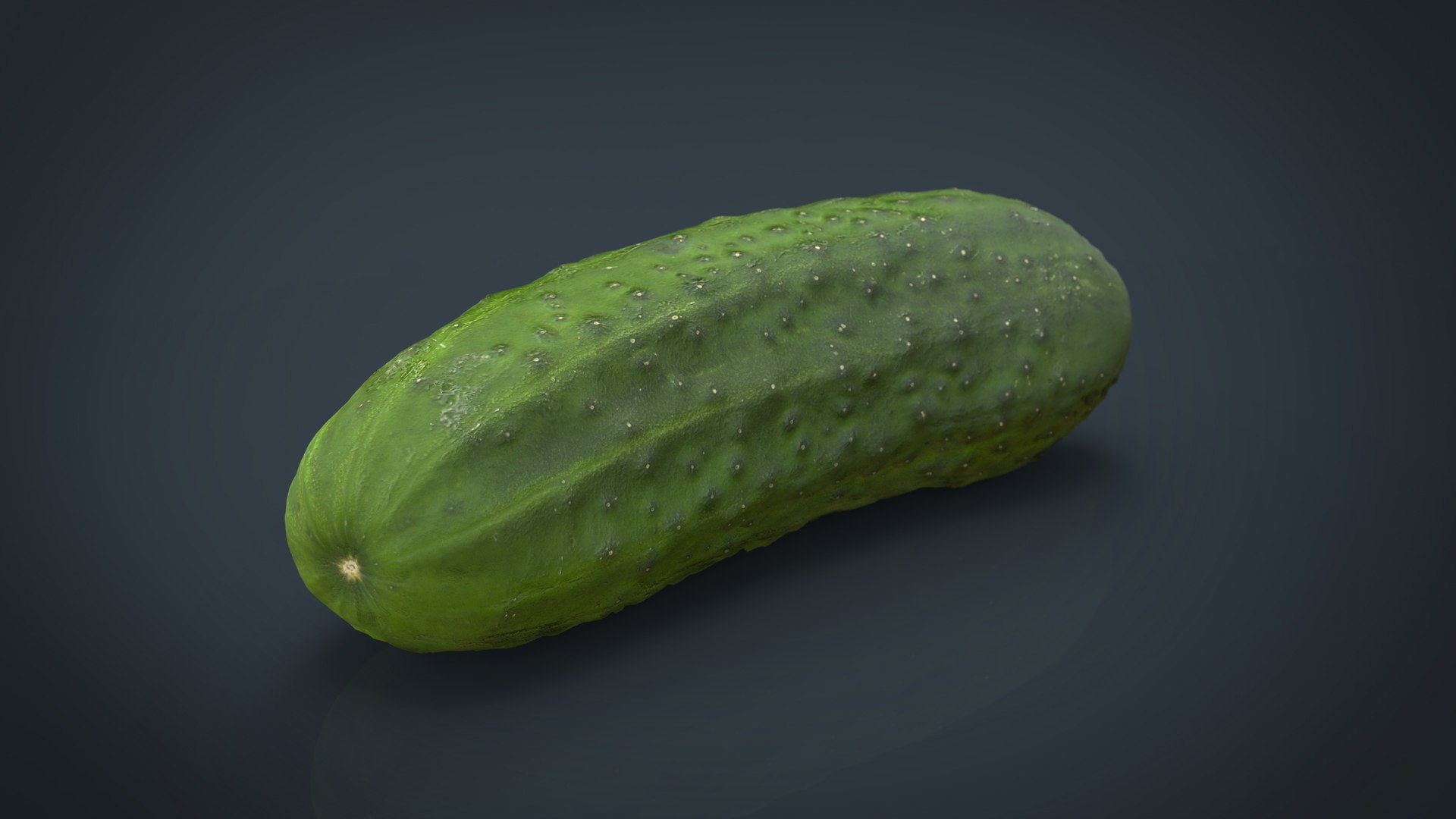 Cucumber 3d Model