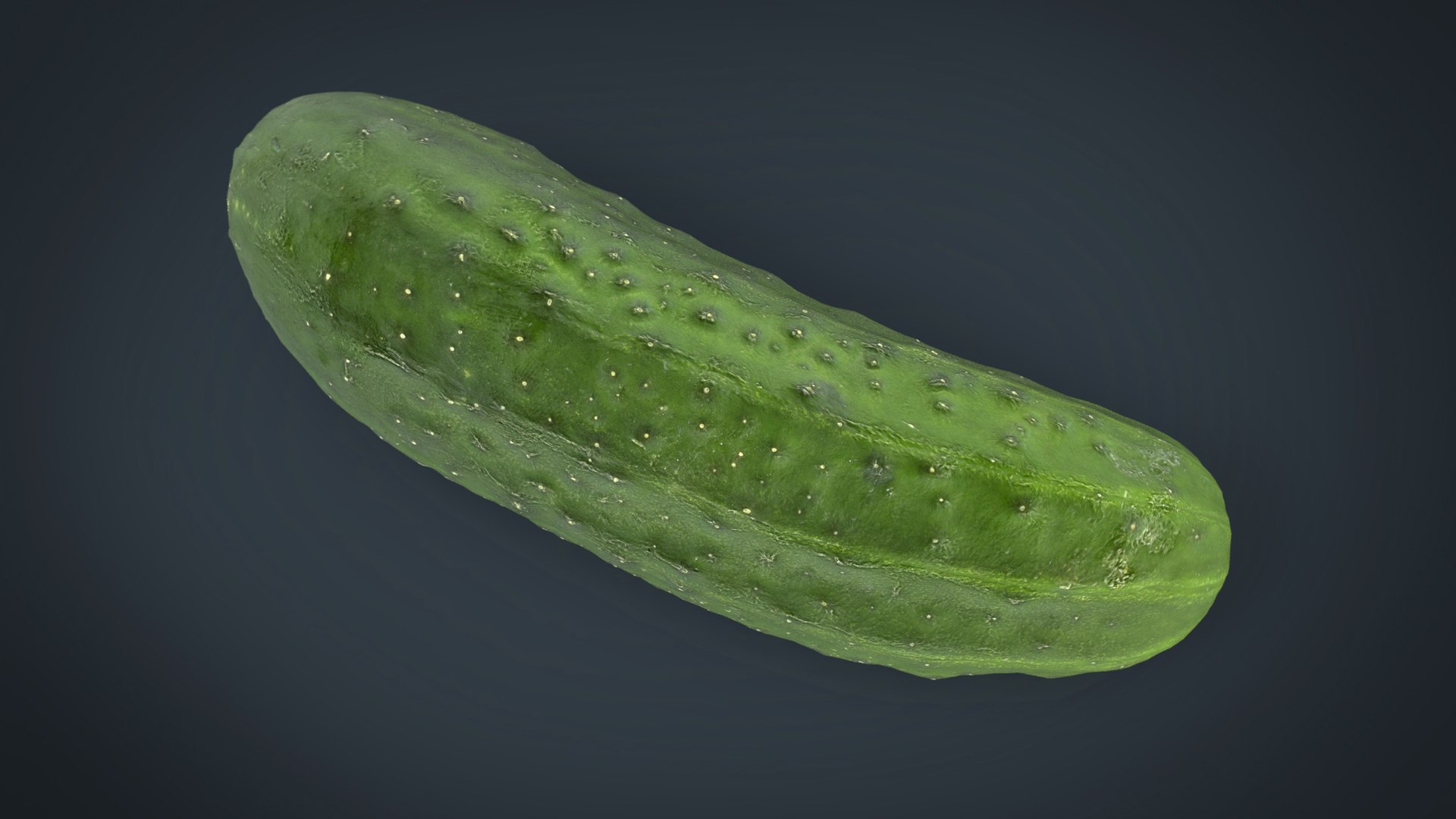 Cucumber 3d Model