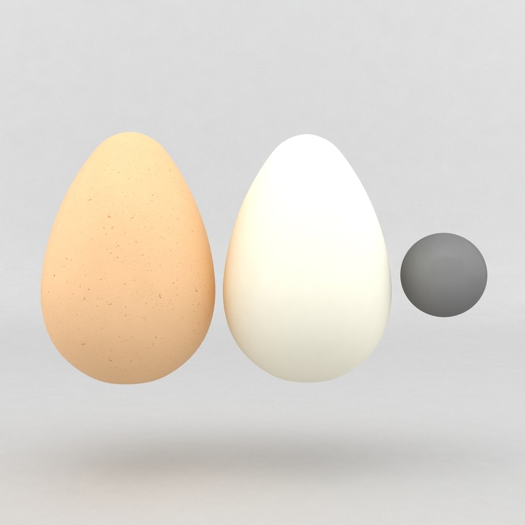egg shell white 3d model