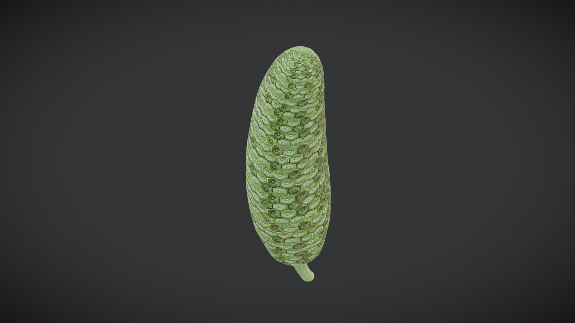 Fruit Monstera Deliciosa Low Poly 3D Model - TurboSquid 2371555