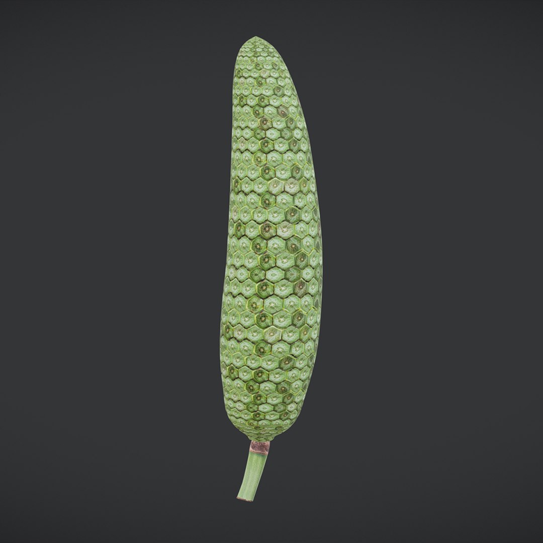 Fruit Monstera Deliciosa Low Poly 3D Model - TurboSquid 2371555