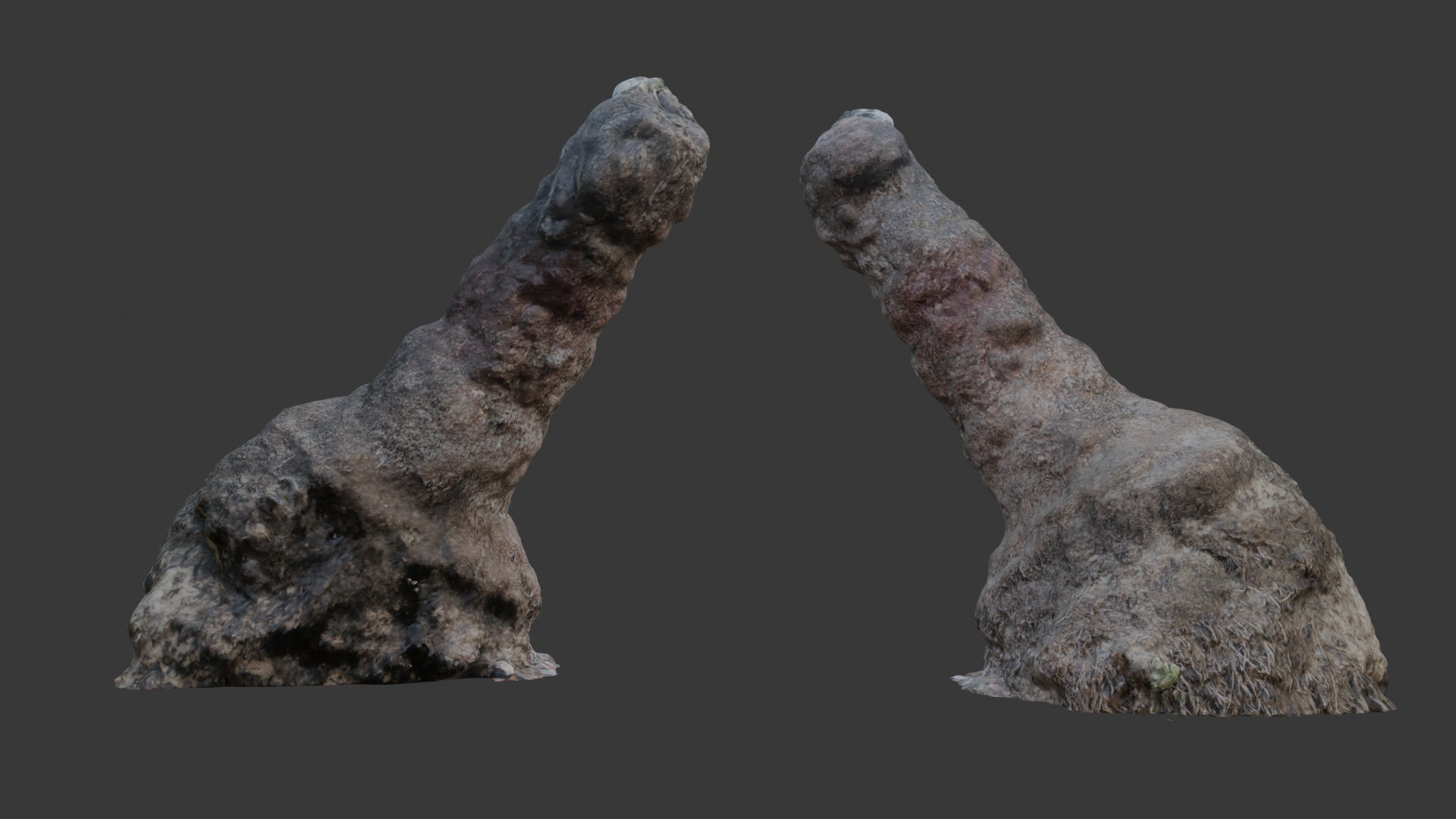 3D Termite Mound 3D Scan Model - TurboSquid 2395500