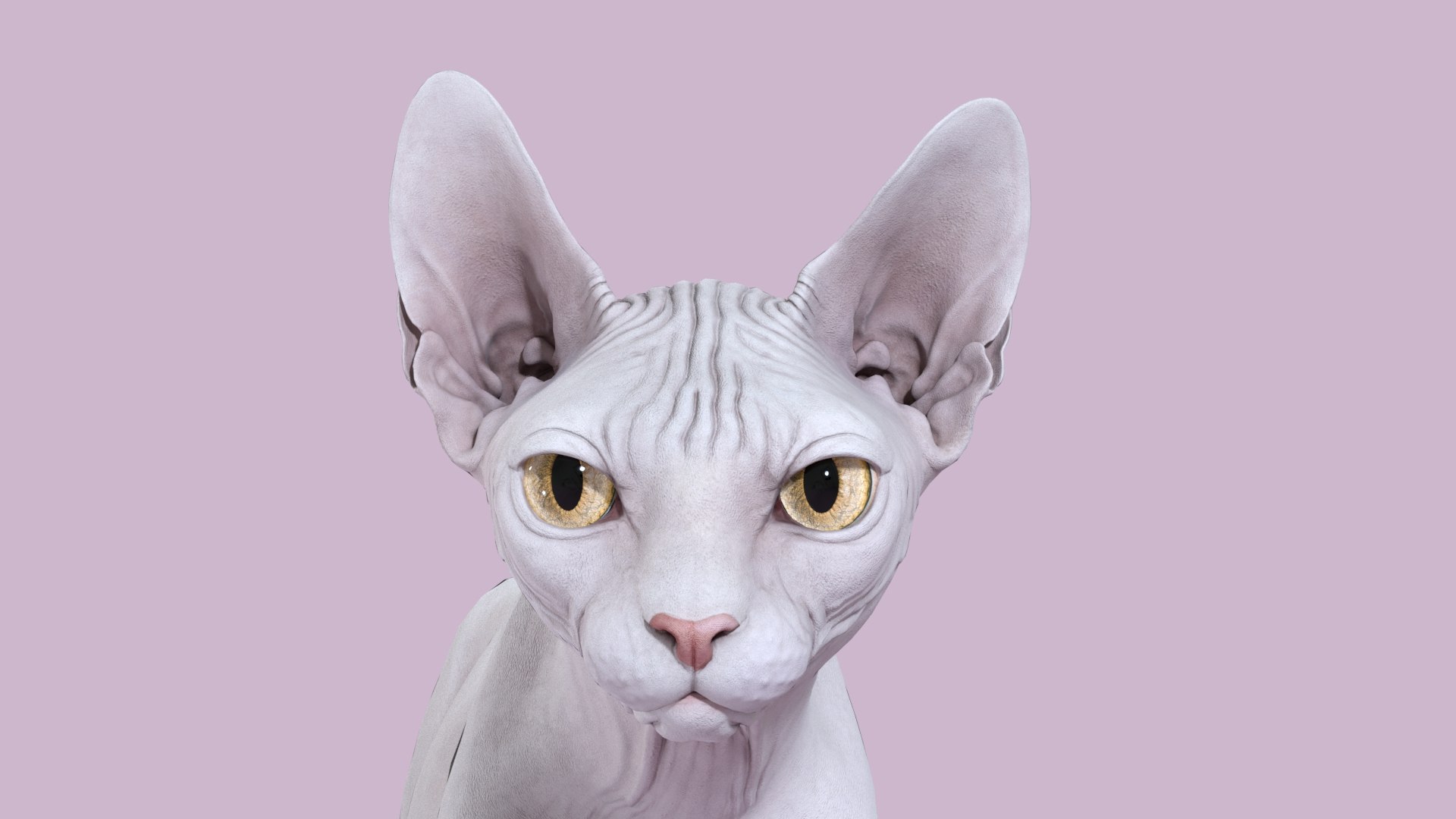 3D sphynx cat walking pose model - TurboSquid 1665006