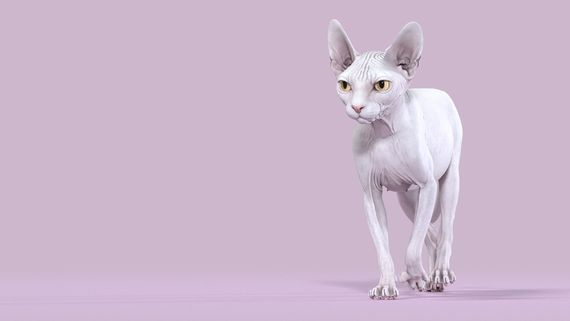 3D sphynx cat walking pose model - TurboSquid 1665006