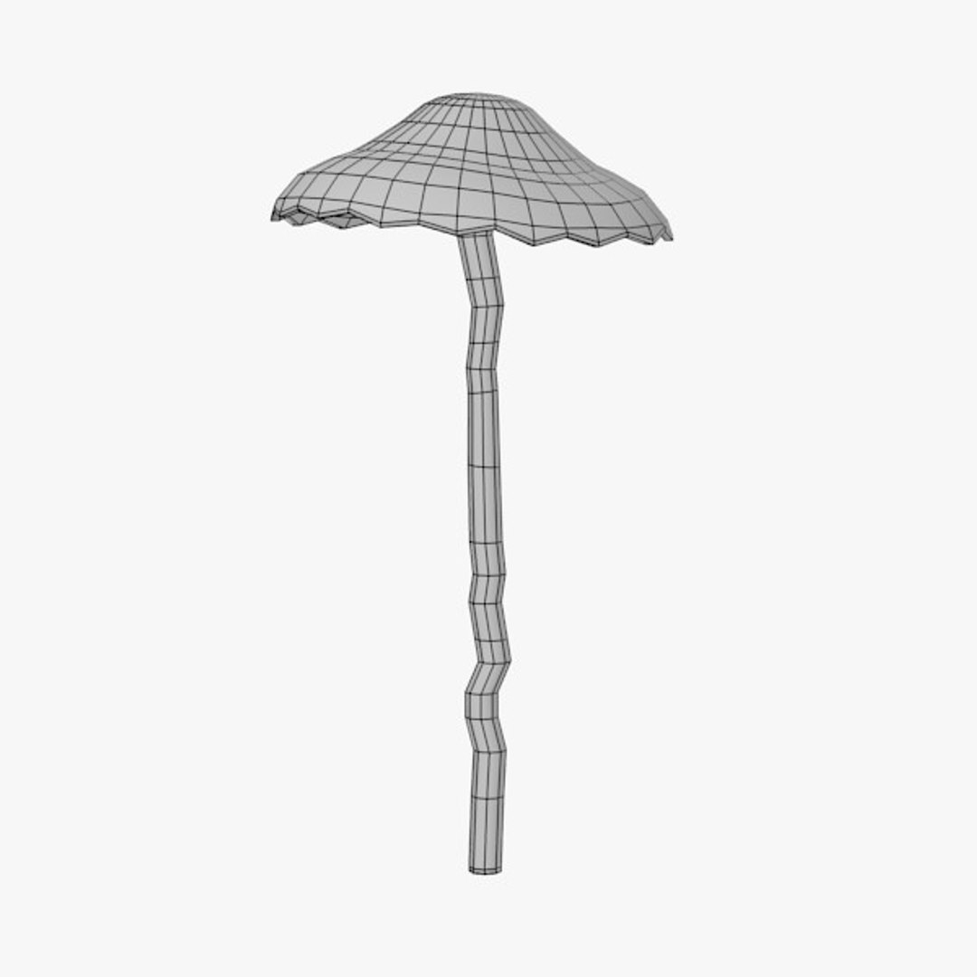 Poisonous Psilocybe Bohemica 3d Model
