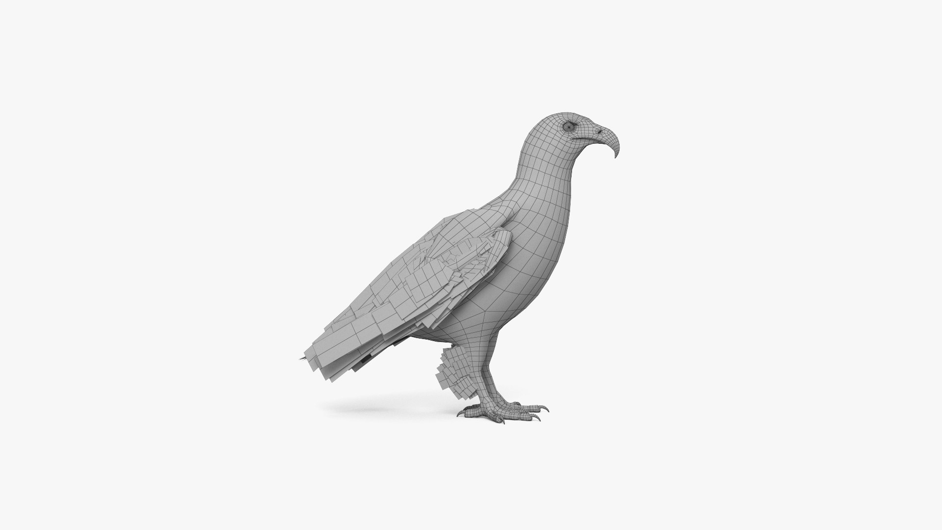 3D Bald Eagle HD - TurboSquid 2020991