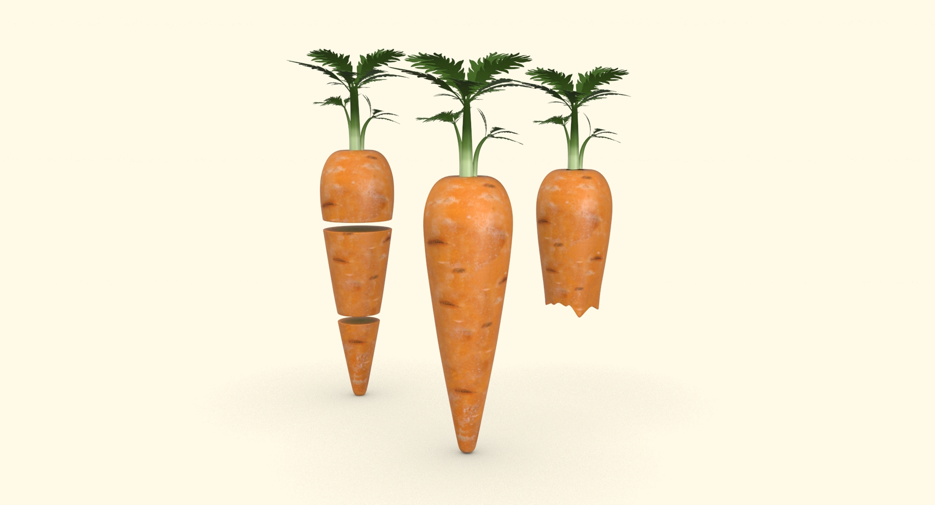 Carrot Complete Slices Bitten 3D Model - TurboSquid 1390371