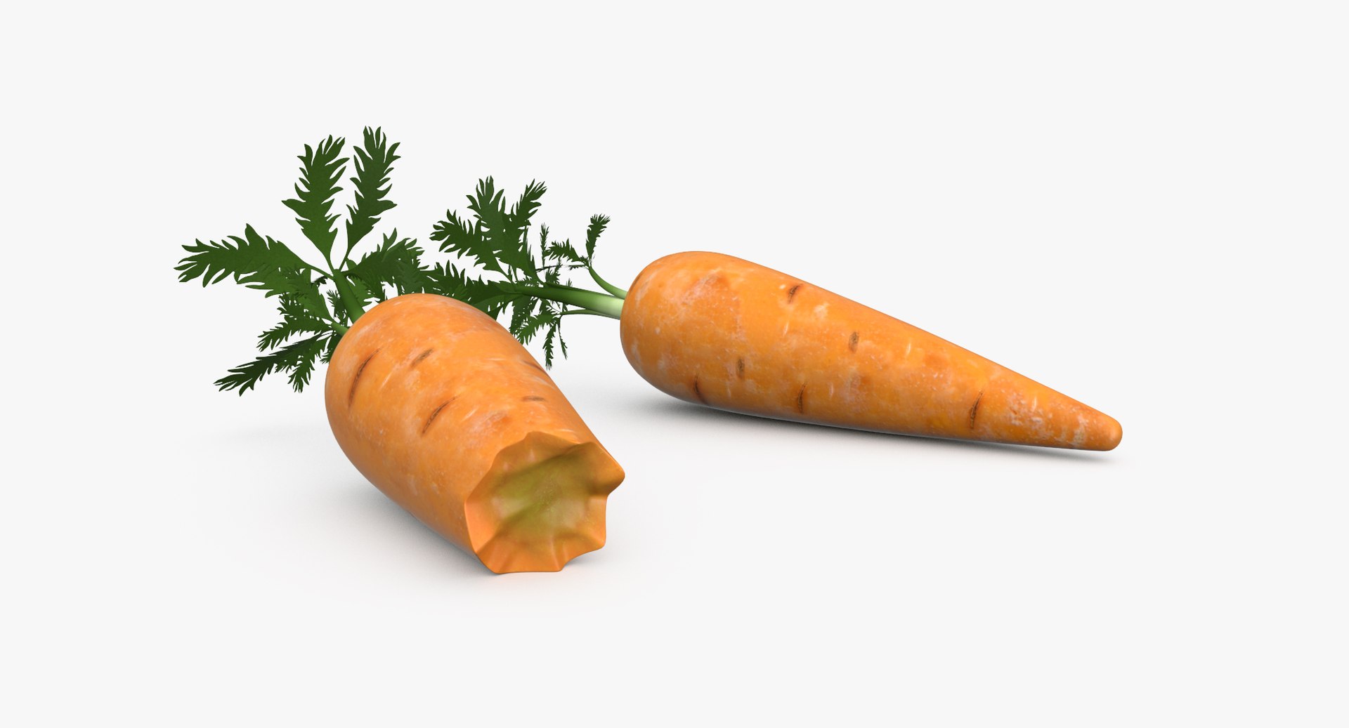 Carrot Complete Slices Bitten 3D Model - TurboSquid 1390371