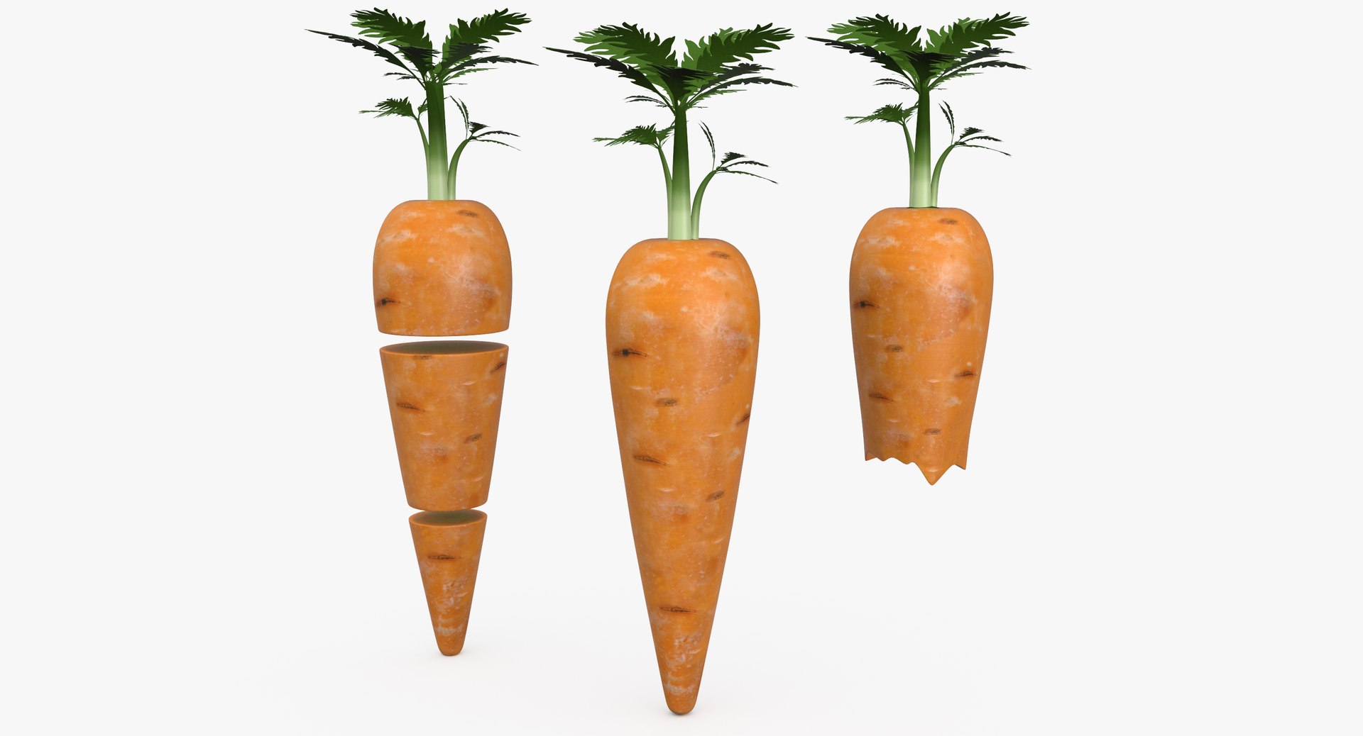 Carrot Complete Slices Bitten 3D Model - TurboSquid 1390371