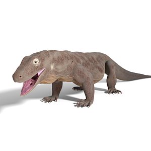 Reptile 3D Models for Download | TurboSquid