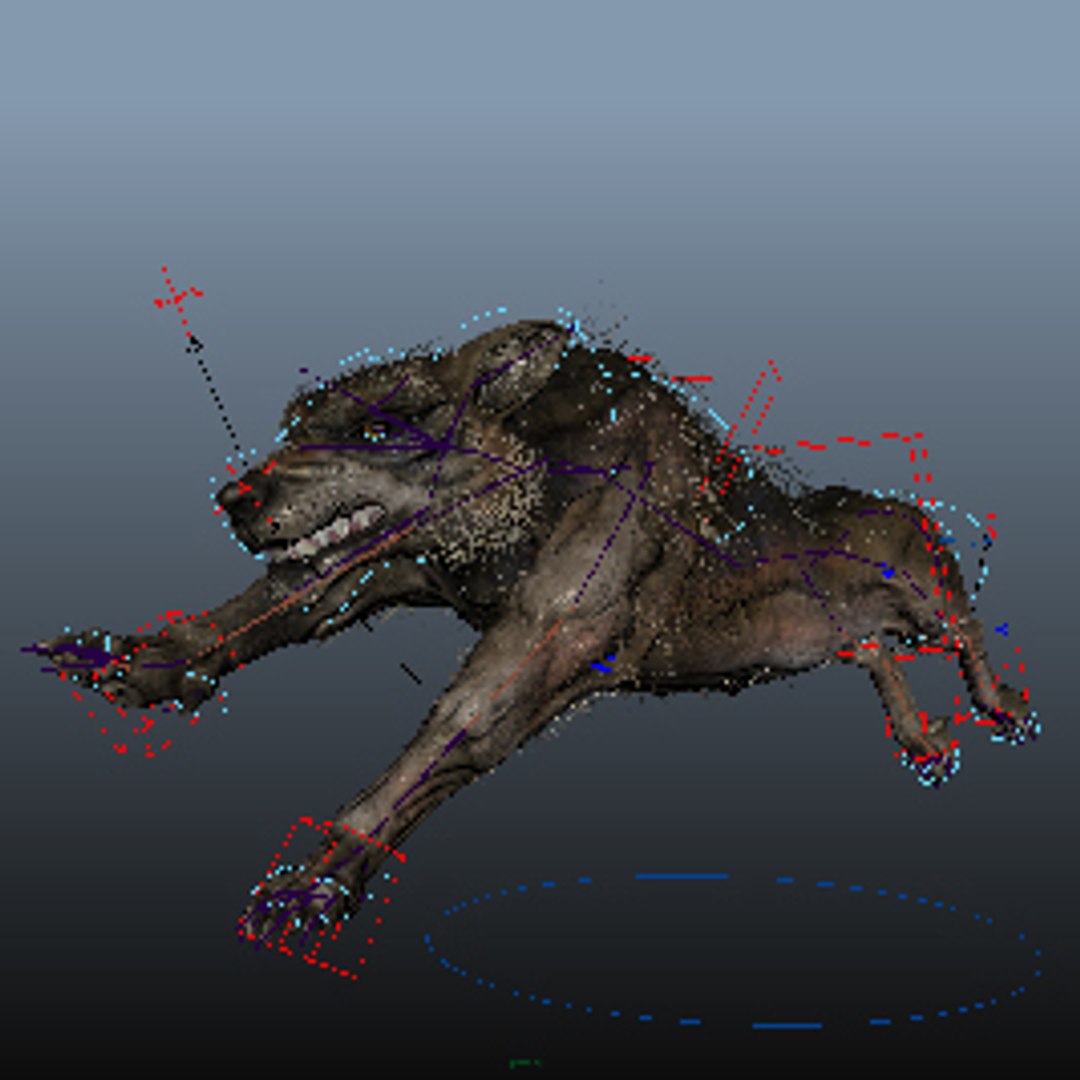 3D Wolf - TurboSquid 1192064