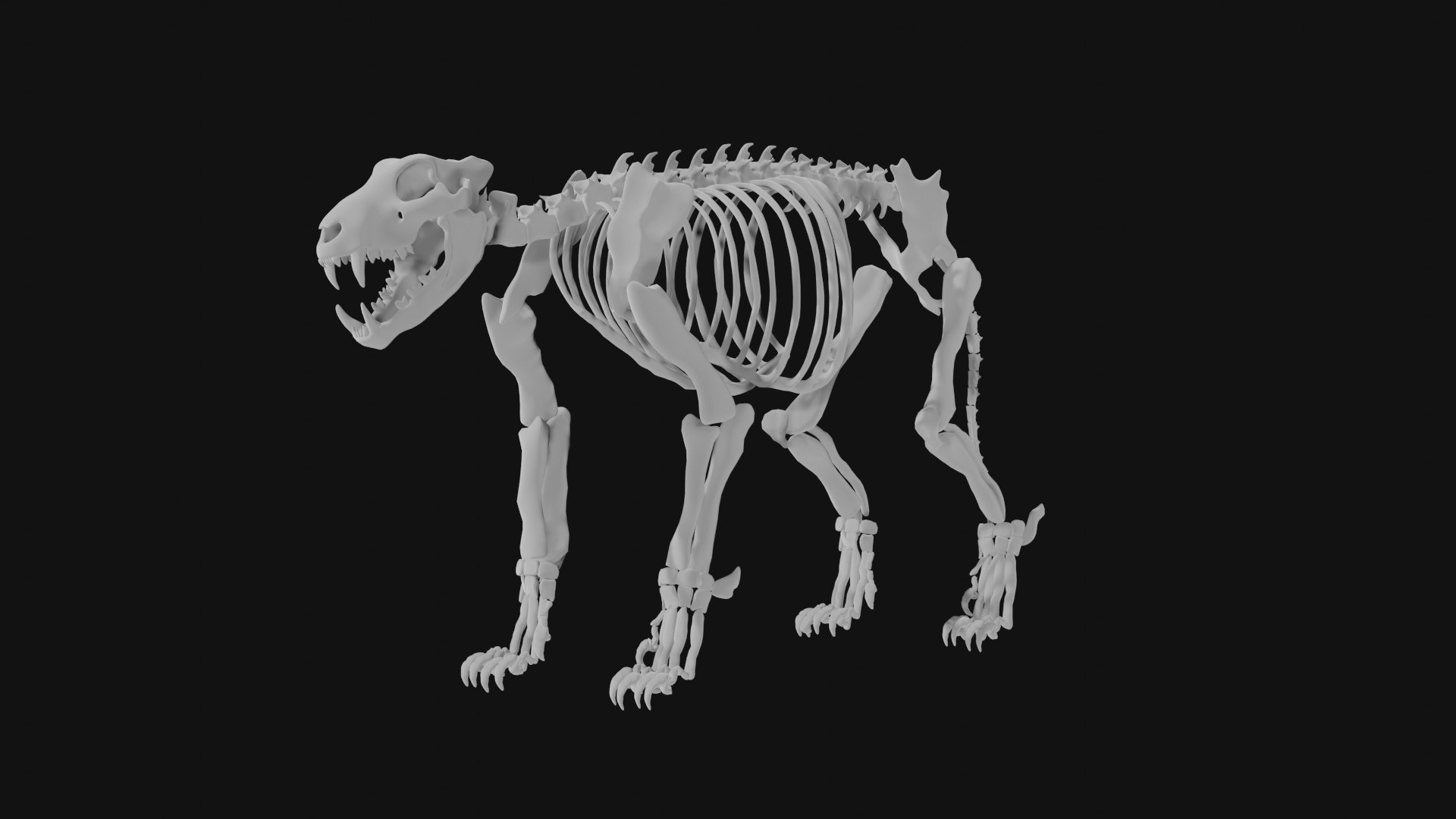 Lion Skeleton 3d Model Turbosquid 1972518