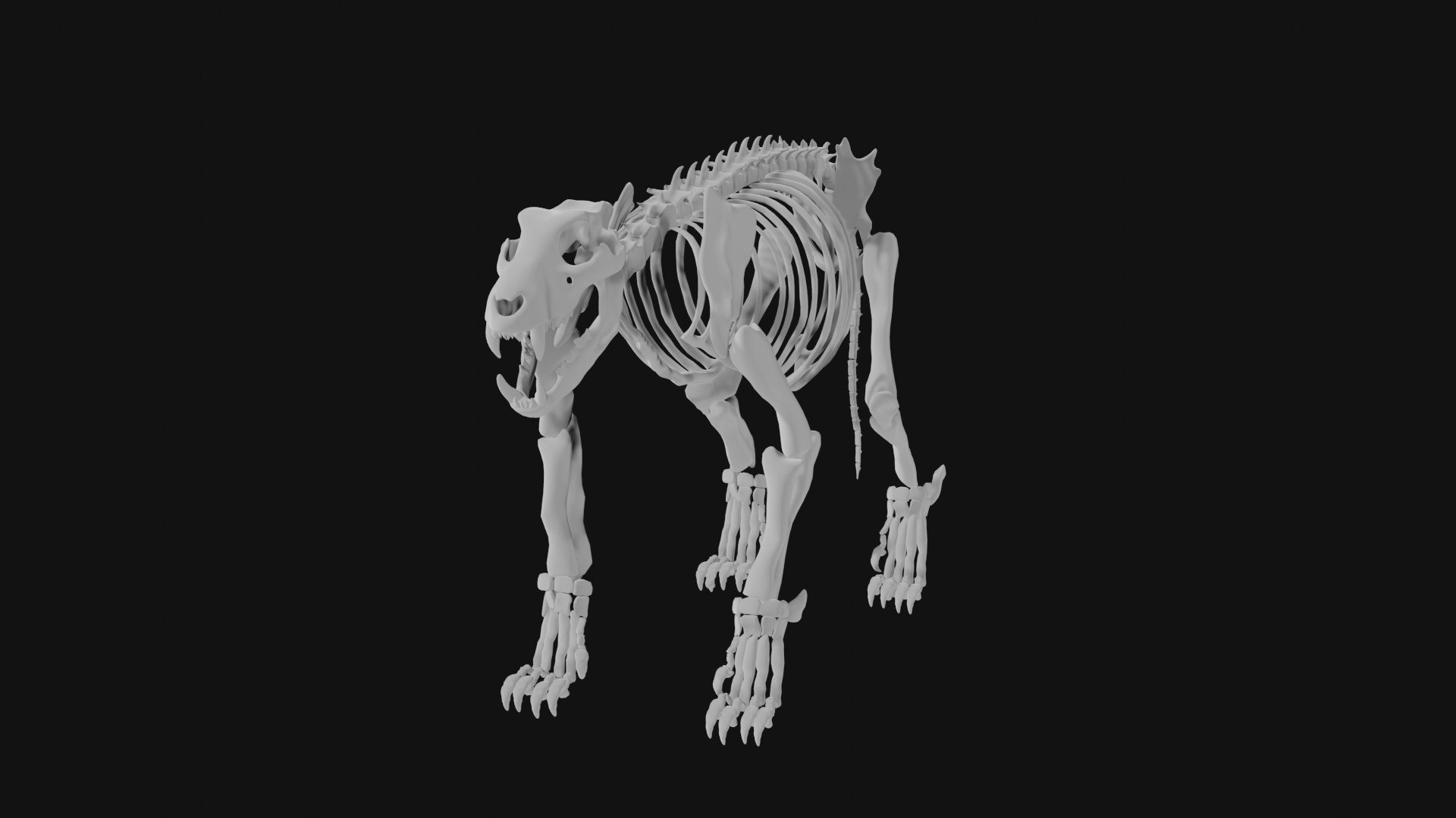 Lion Skeleton 3D Model - TurboSquid 1972518