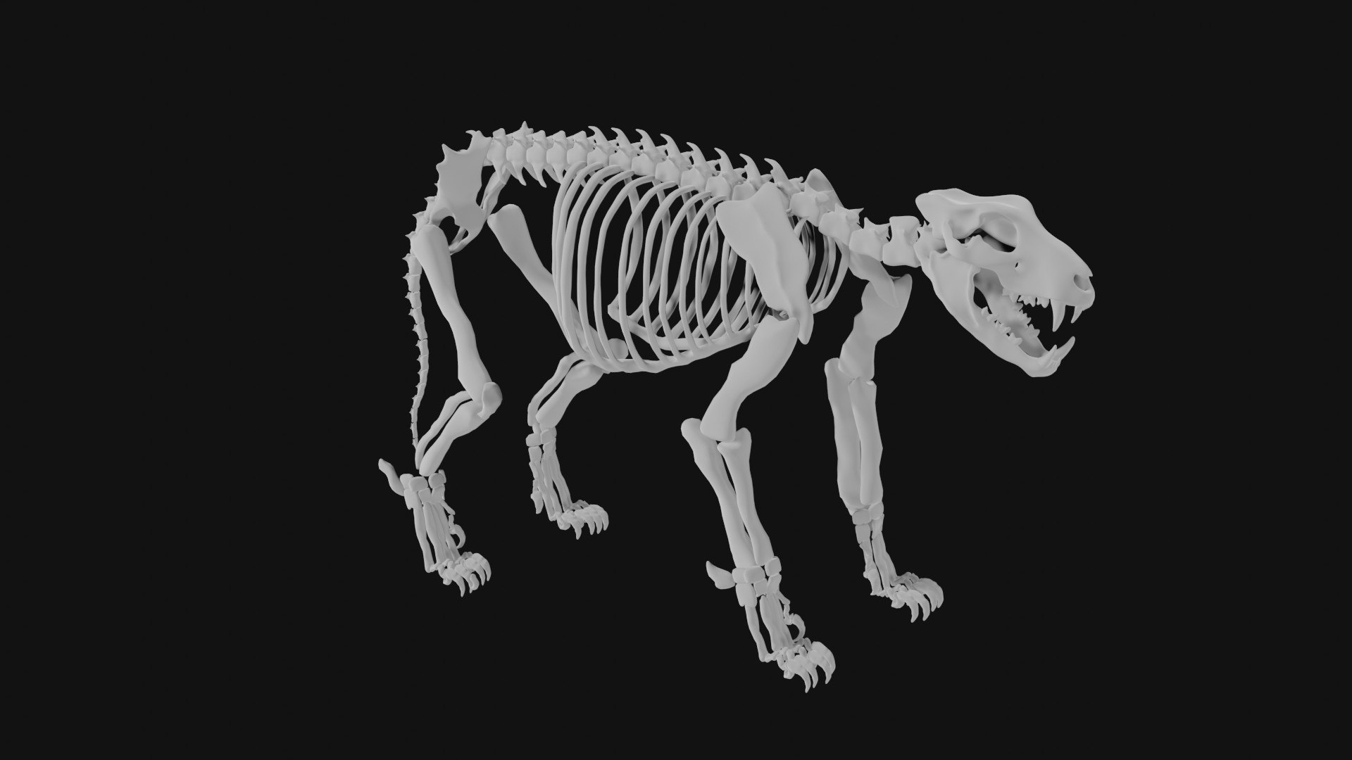 Lion Skeleton 3d Model Turbosquid 1972518