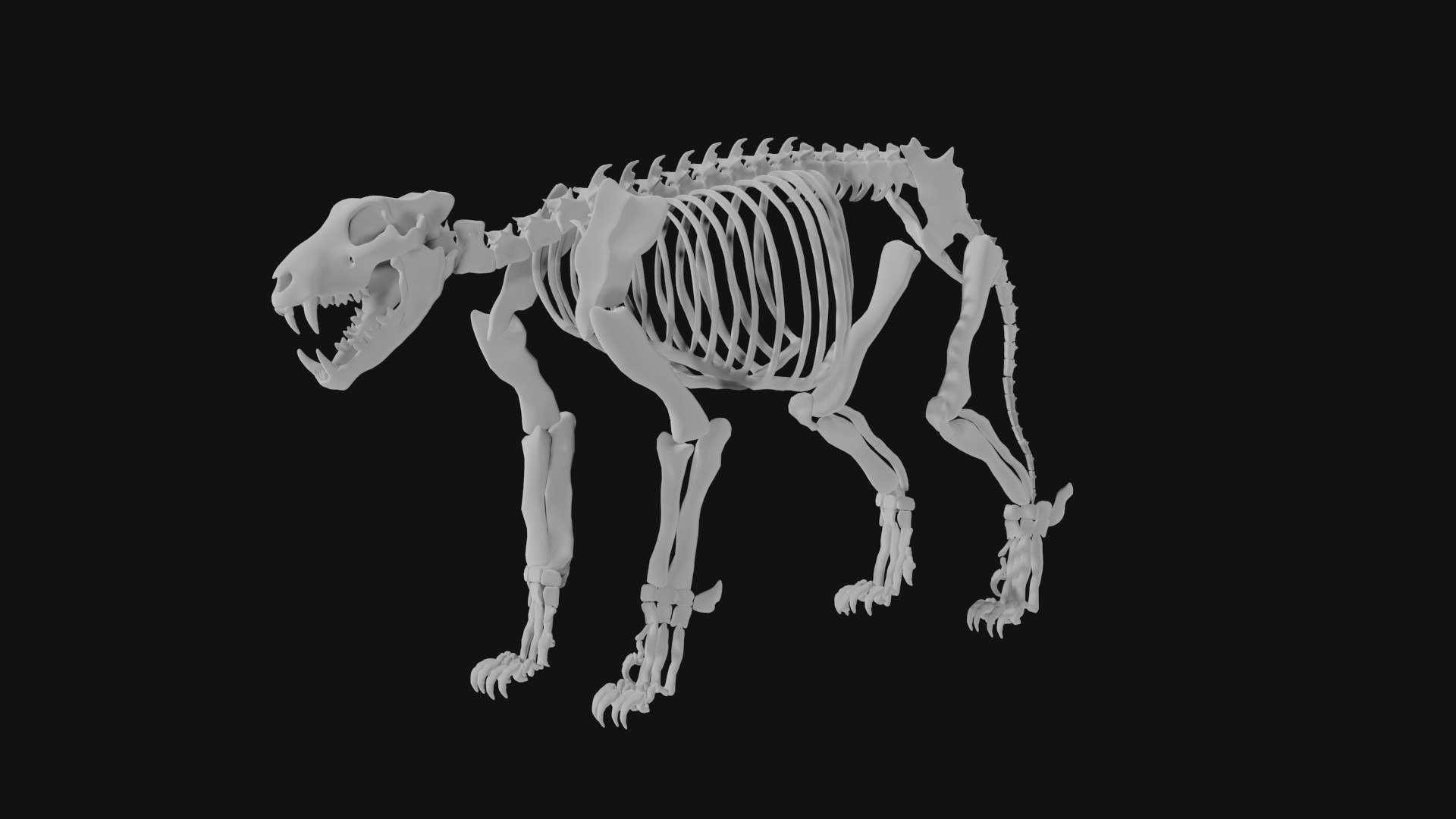Lion Skeleton 3d Model Turbosquid 1972518