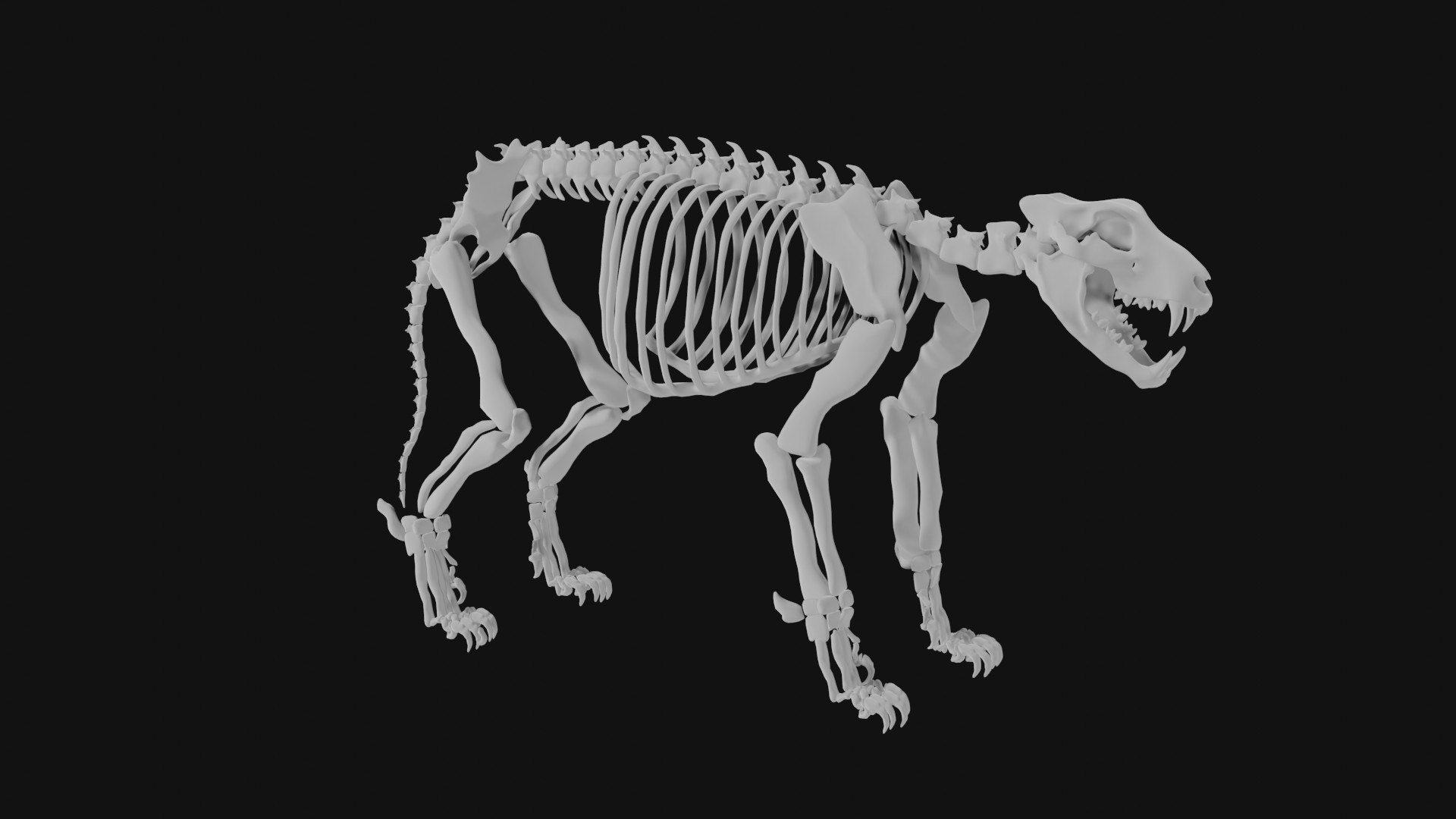 Lion Skeleton 3D Model - TurboSquid 1972518