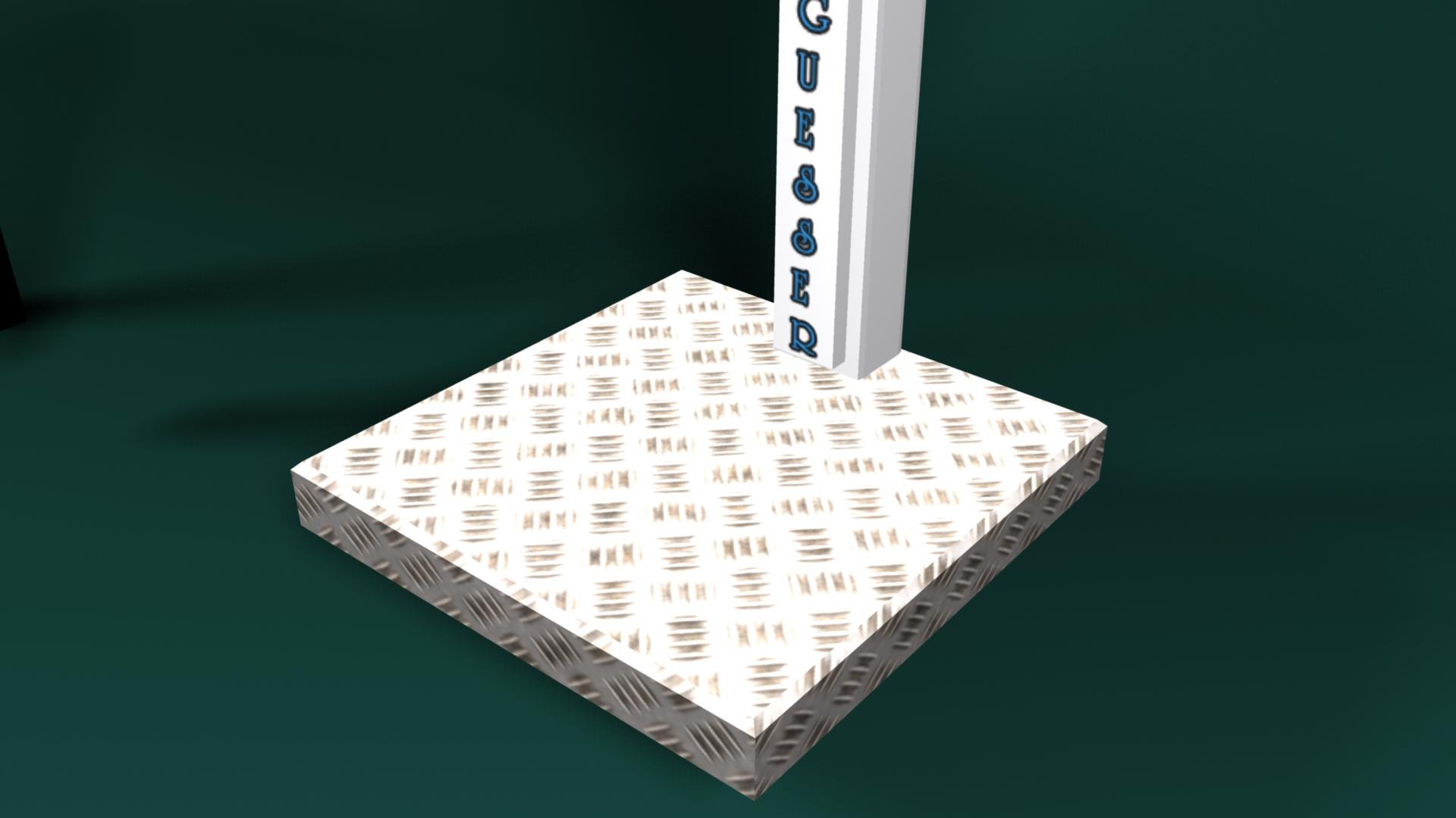 Carnival Guess Weight 3d Ma