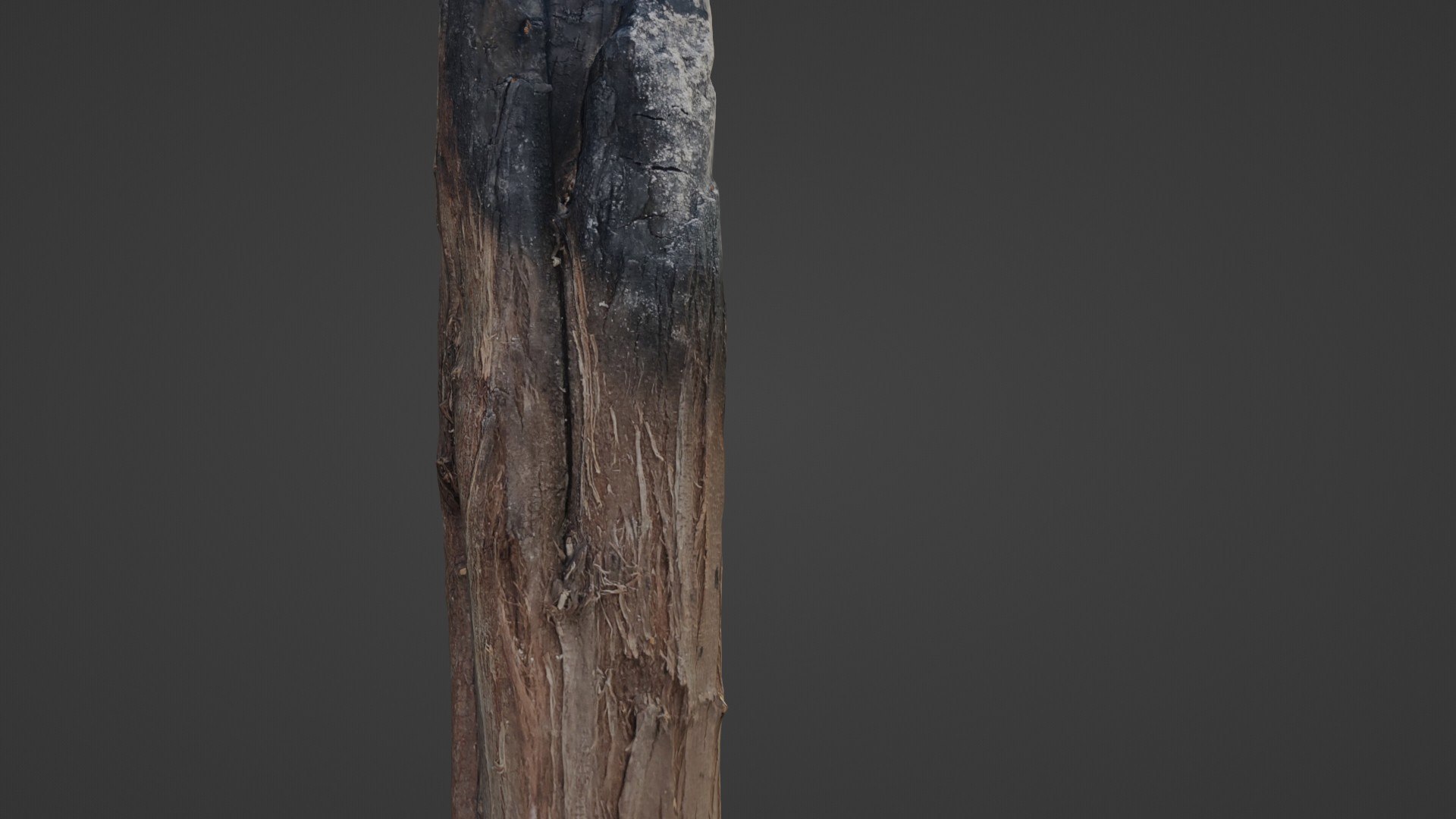 Burned Trunk Scan 3D Model - TurboSquid 2330042
