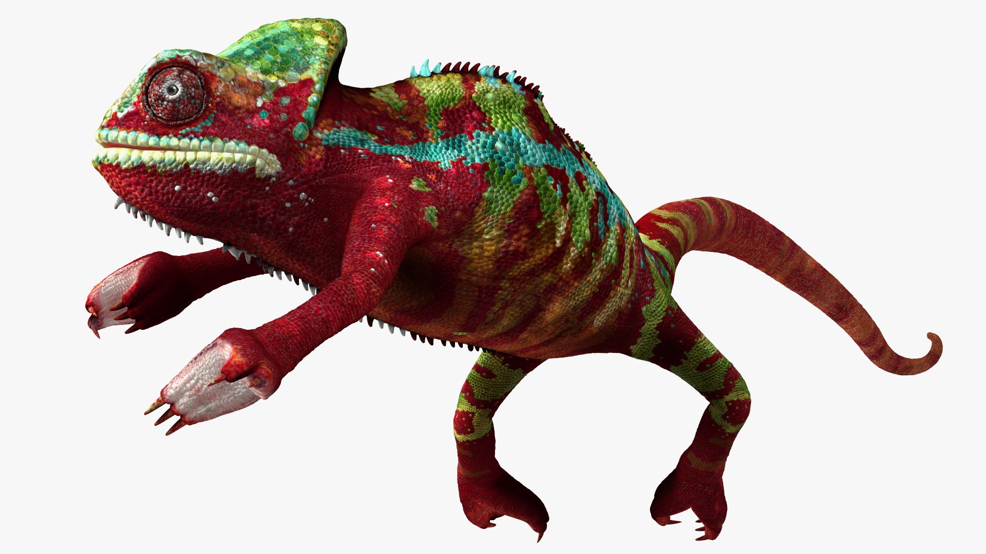 Chameleon Red Rigged for Maya 3D 모델 - TurboSquid 2077119