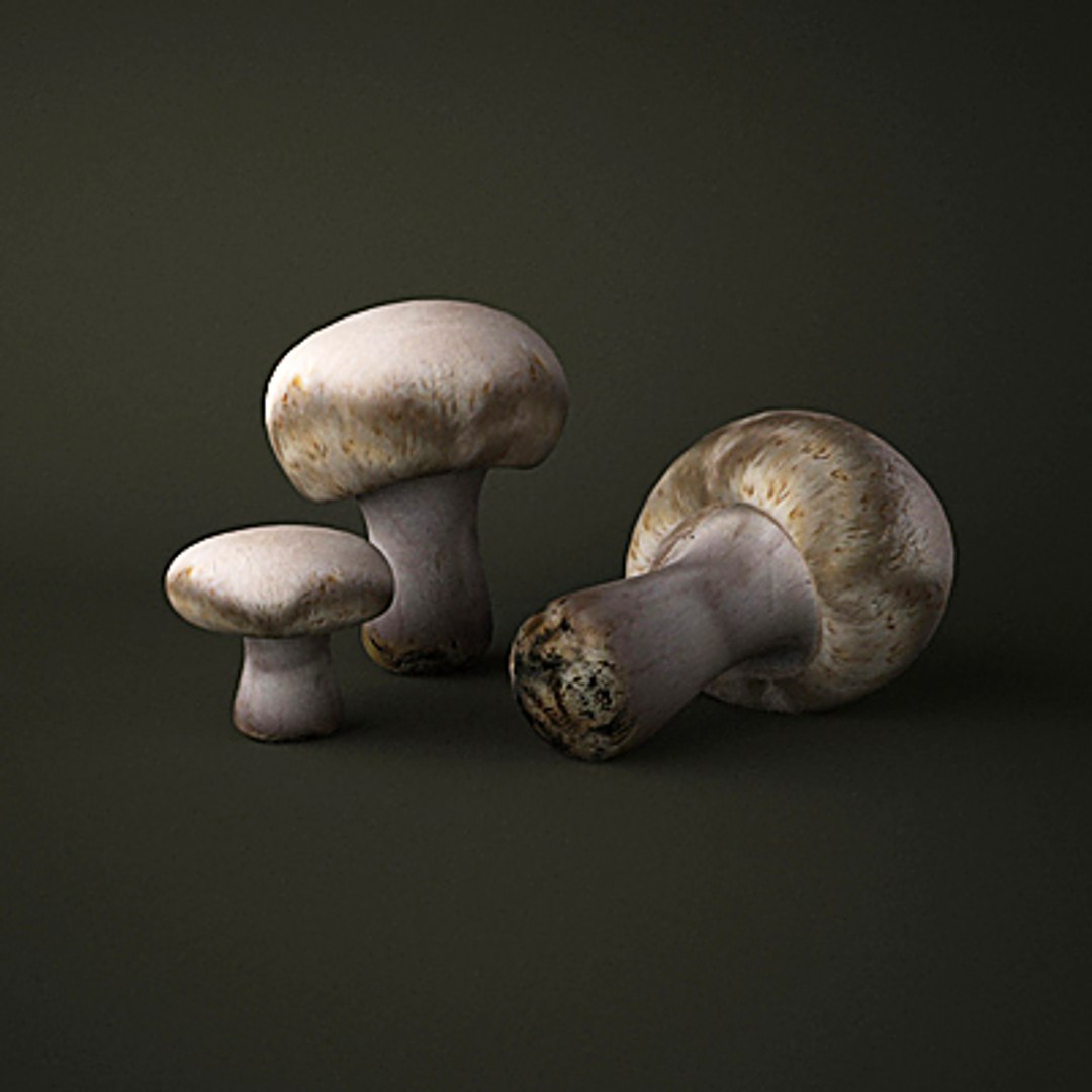 3d Model Button Mushroom